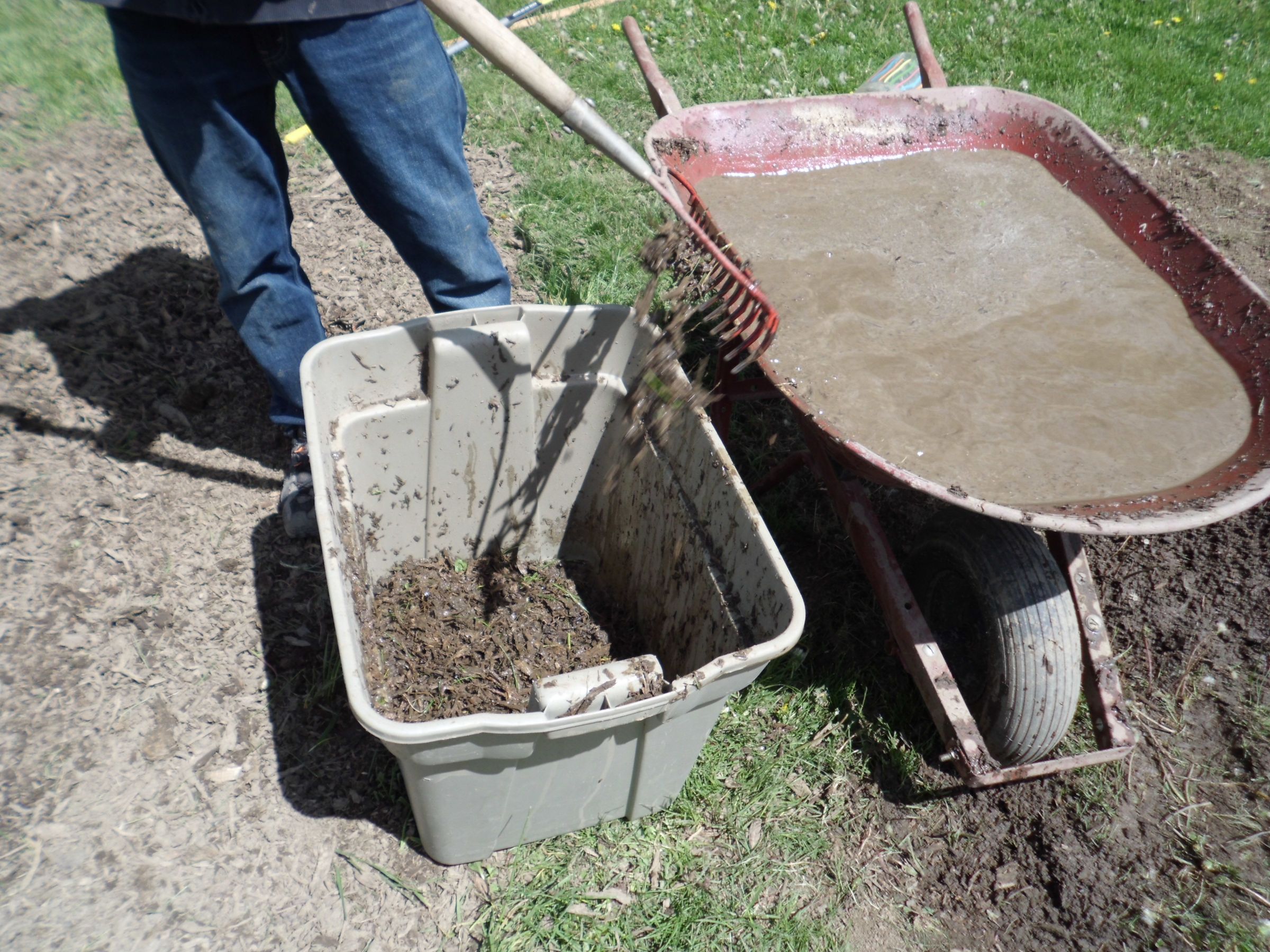 Make Your Own Mulch! (From a Ground-Up Tree Stump) : 7 Steps ...