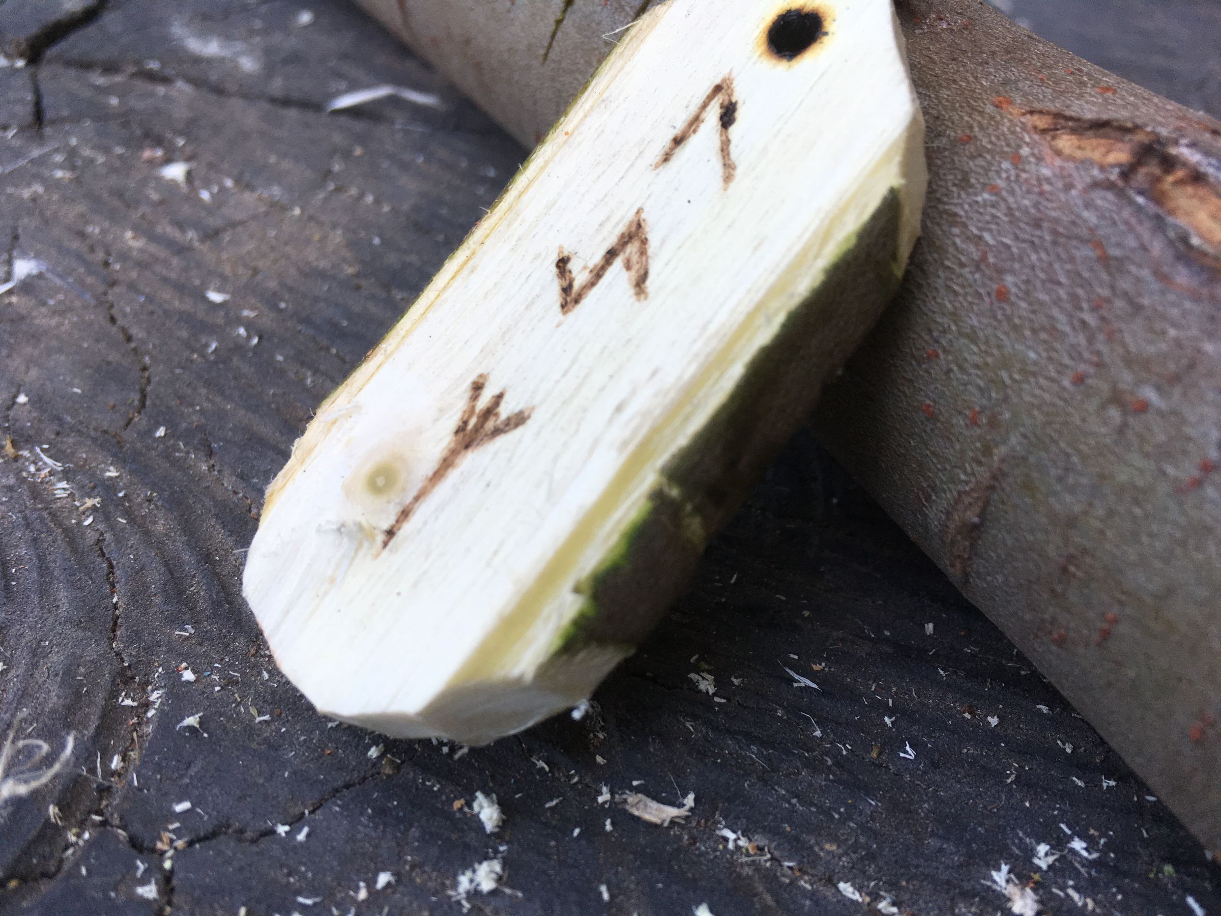 5 Super-easy Branch Carving Projects : 10 Steps (with Pictures ...