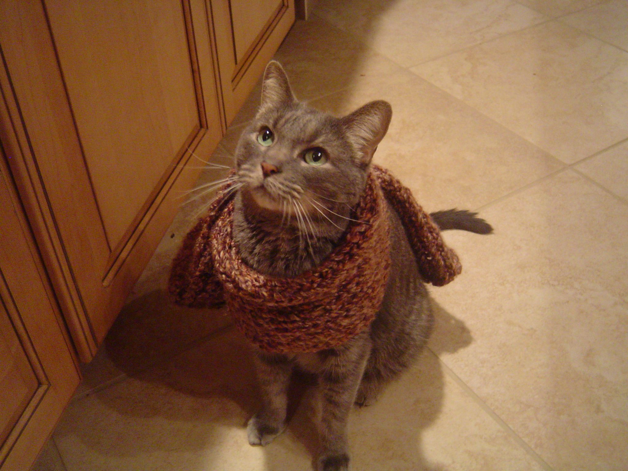 How to Loom Knit : 4 Steps (with Pictures) - Instructables