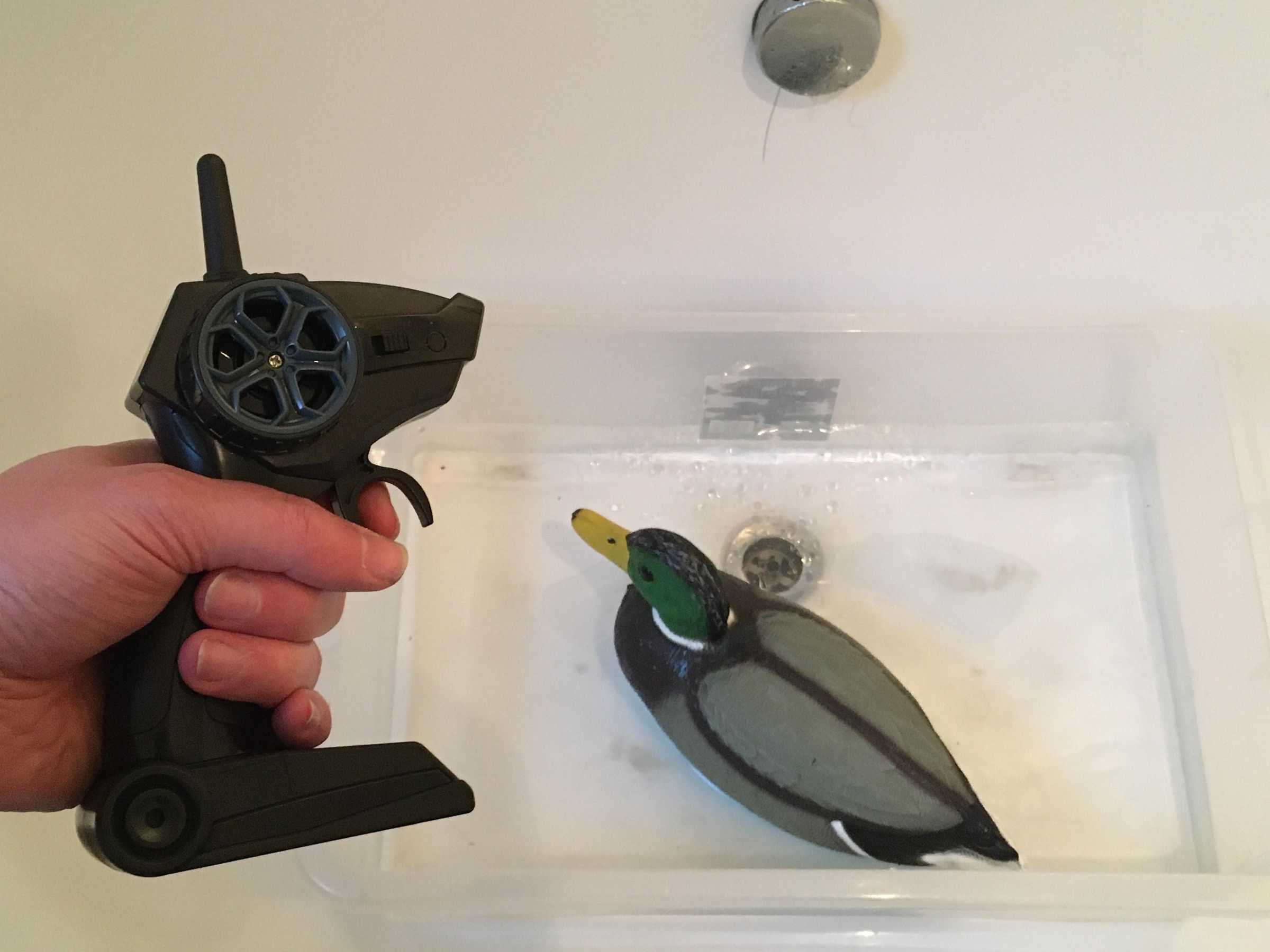Dave - the Remote Control Duck : 25 Steps (with Pictures) - Instructables