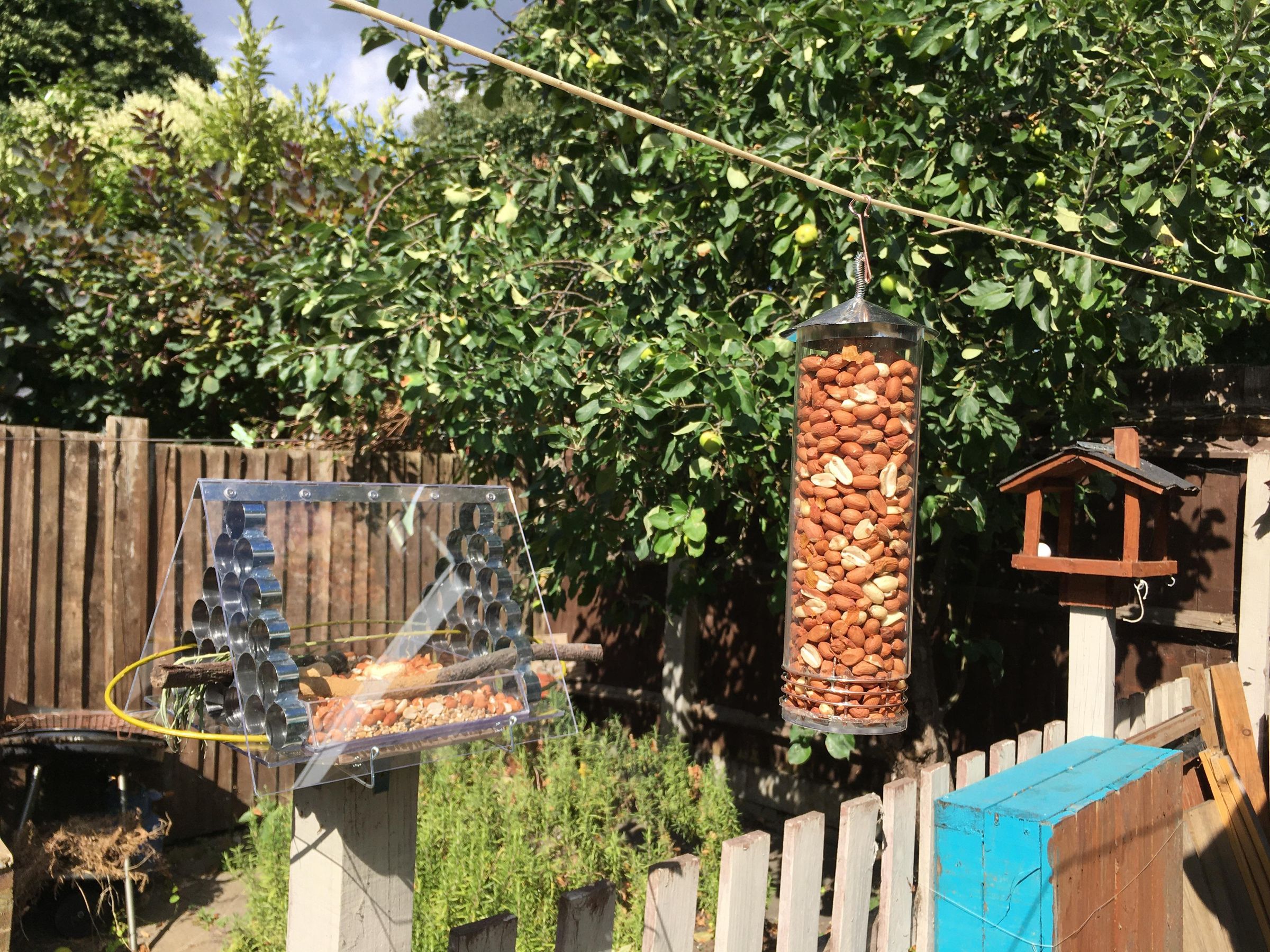 Squirrel Proof Bird Feeder Challenge : 43 Steps (with Pictures ...