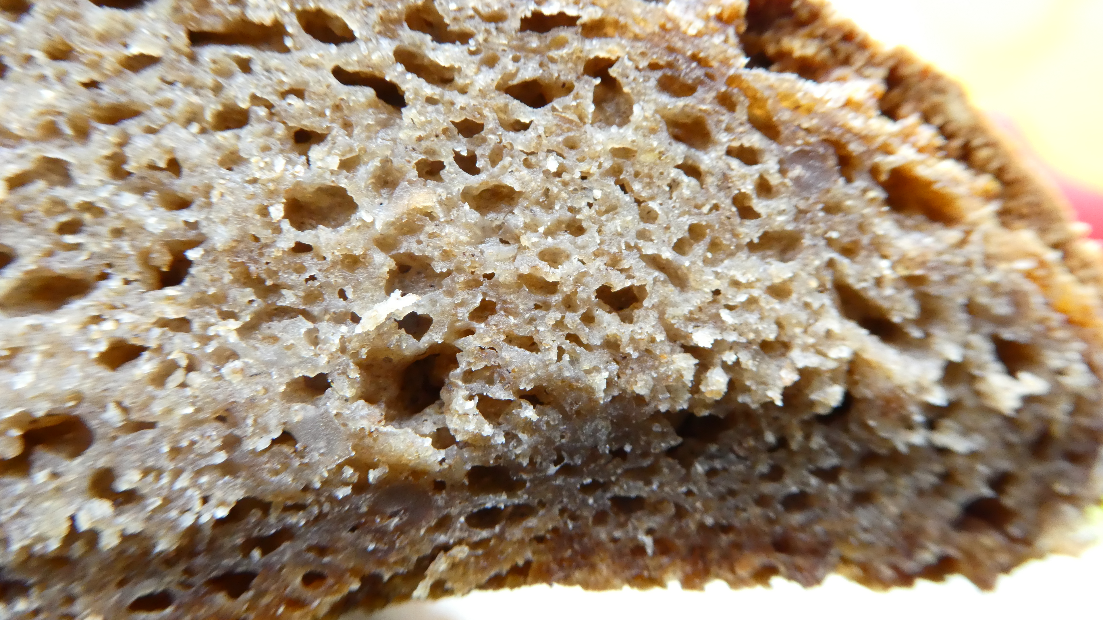 Pure Rye Bread : 31 Steps (with Pictures) - Instructables