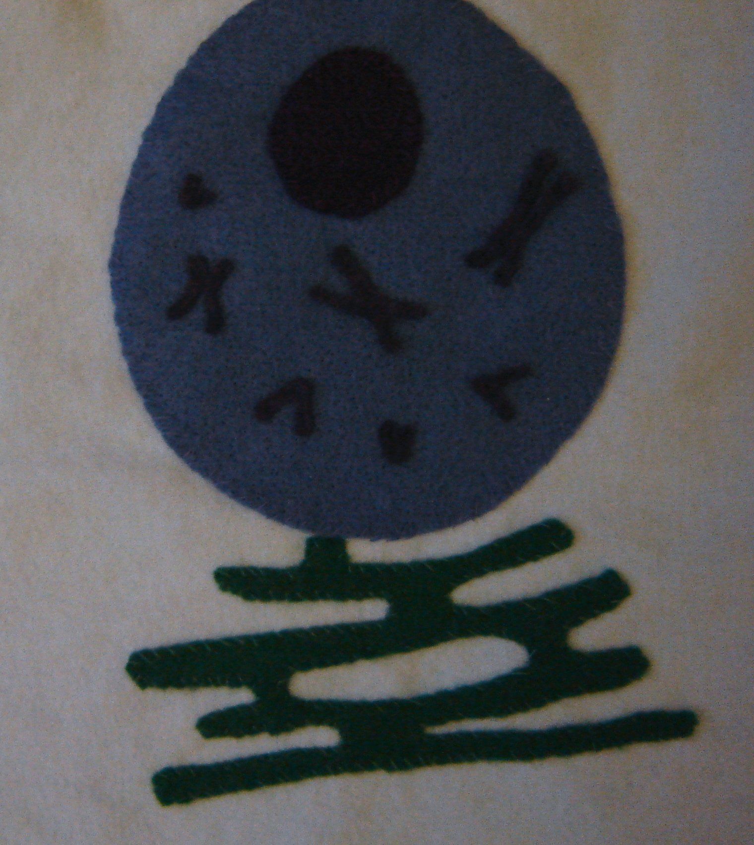 Plush Cell Model : 13 Steps (with Pictures) - Instructables