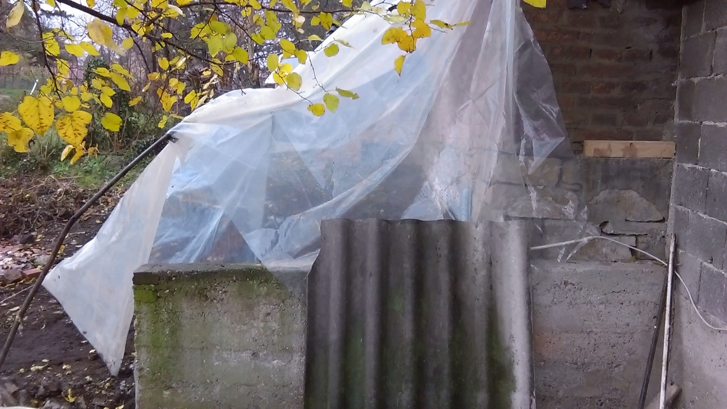 The Dog House Project : 11 Steps - Instructables