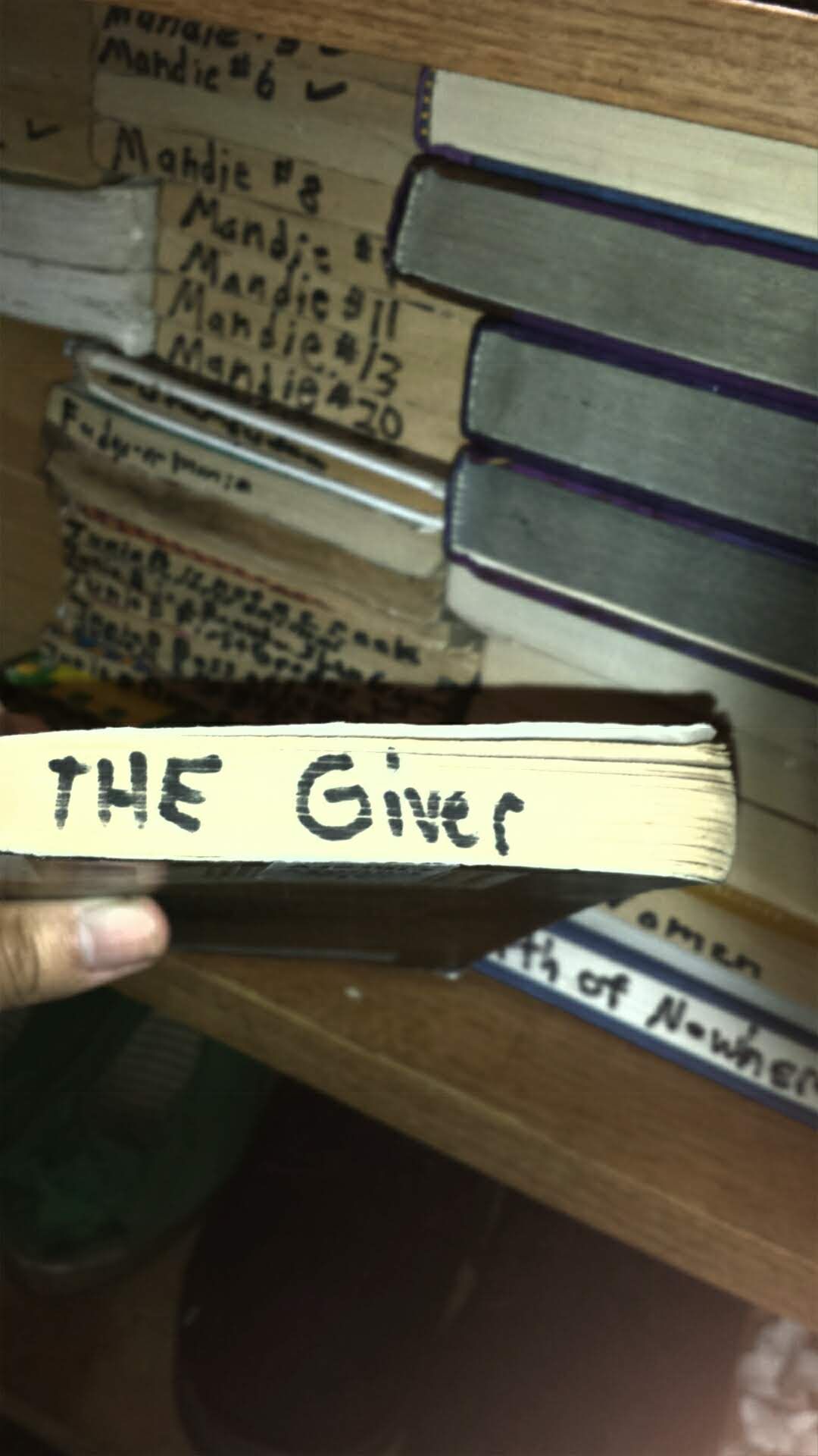 Messy But Efficient Way to Organize Your Bookcase : 4 Steps (with ...