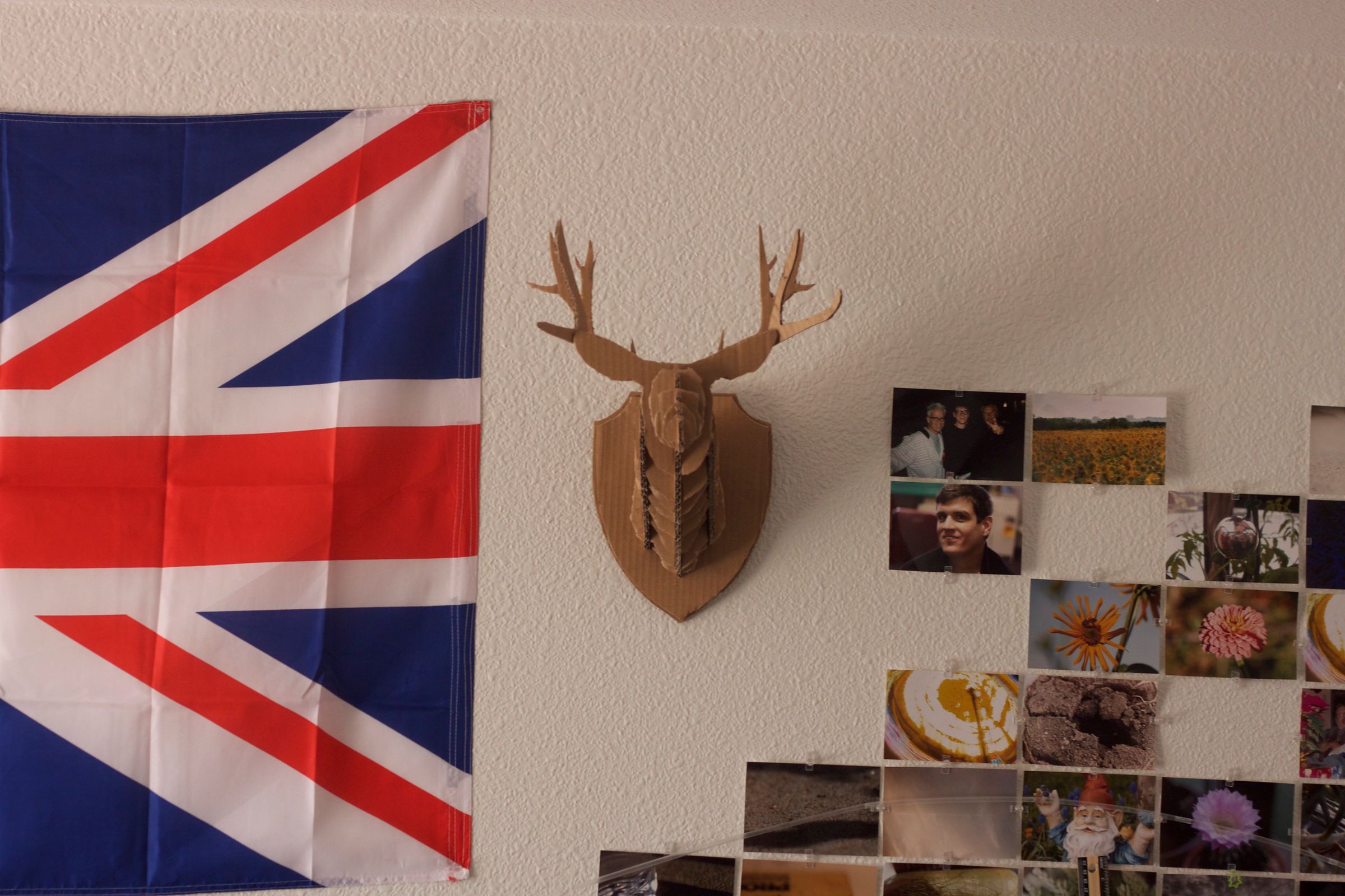 DIY Cardboard Deer Head : 5 Steps (with Pictures) - Instructables