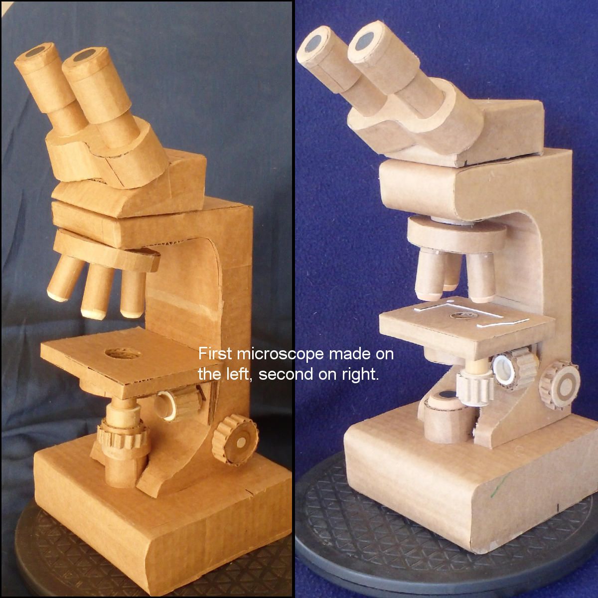 Make a Cardboard Binocular Microscope : 7 Steps (with Pictures ...