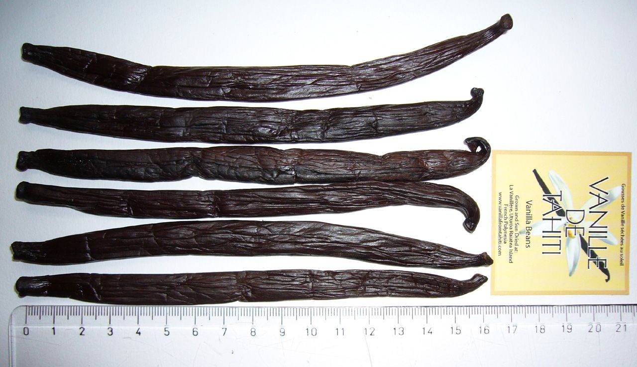 Make Vanilla Extract : 23 Steps (with Pictures) - Instructables