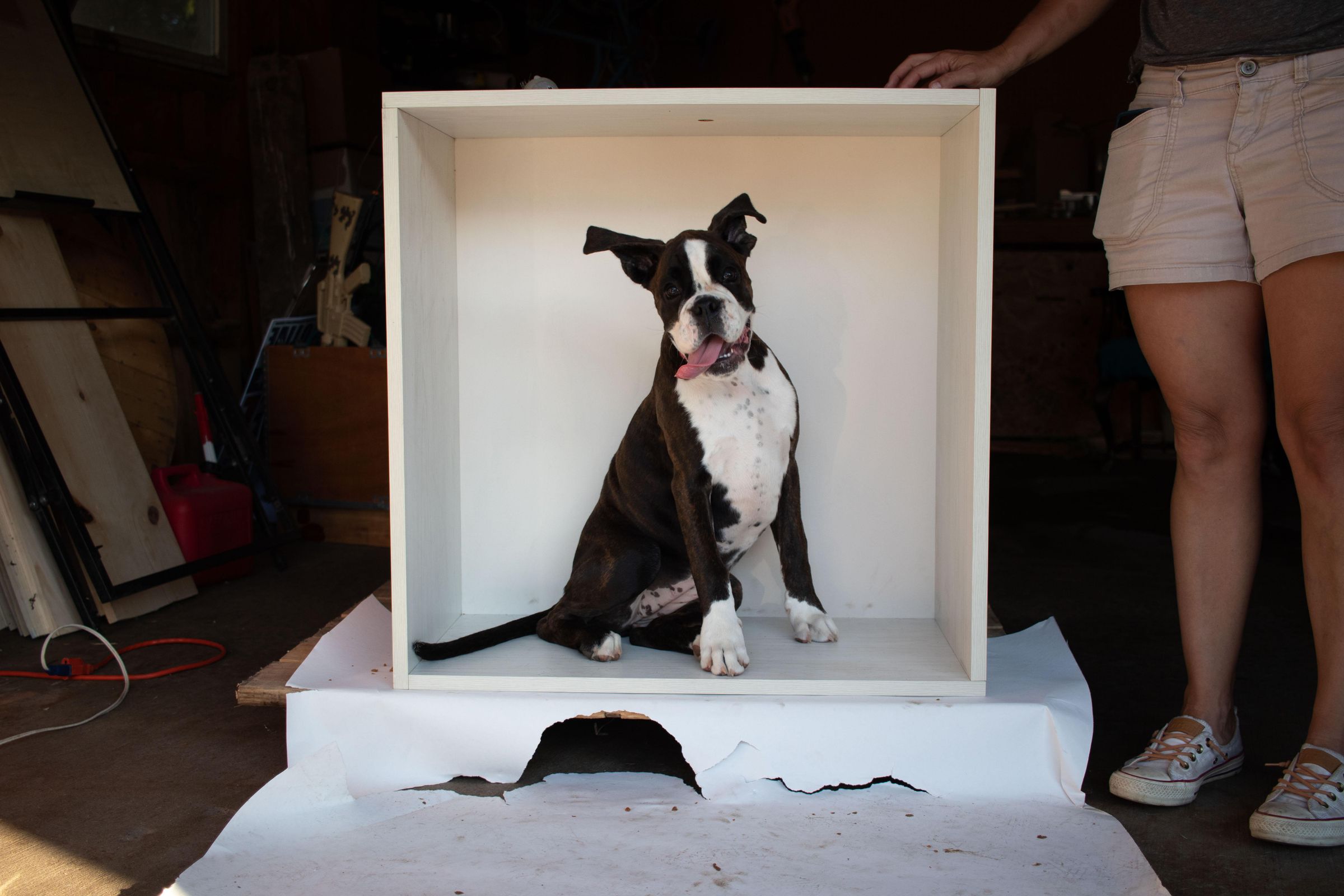 In the Box Photography : 10 Steps (with Pictures) - Instructables