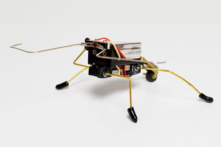 Robot Mechanical Beetle. V1 : 9 Steps (with Pictures) - Instructables
