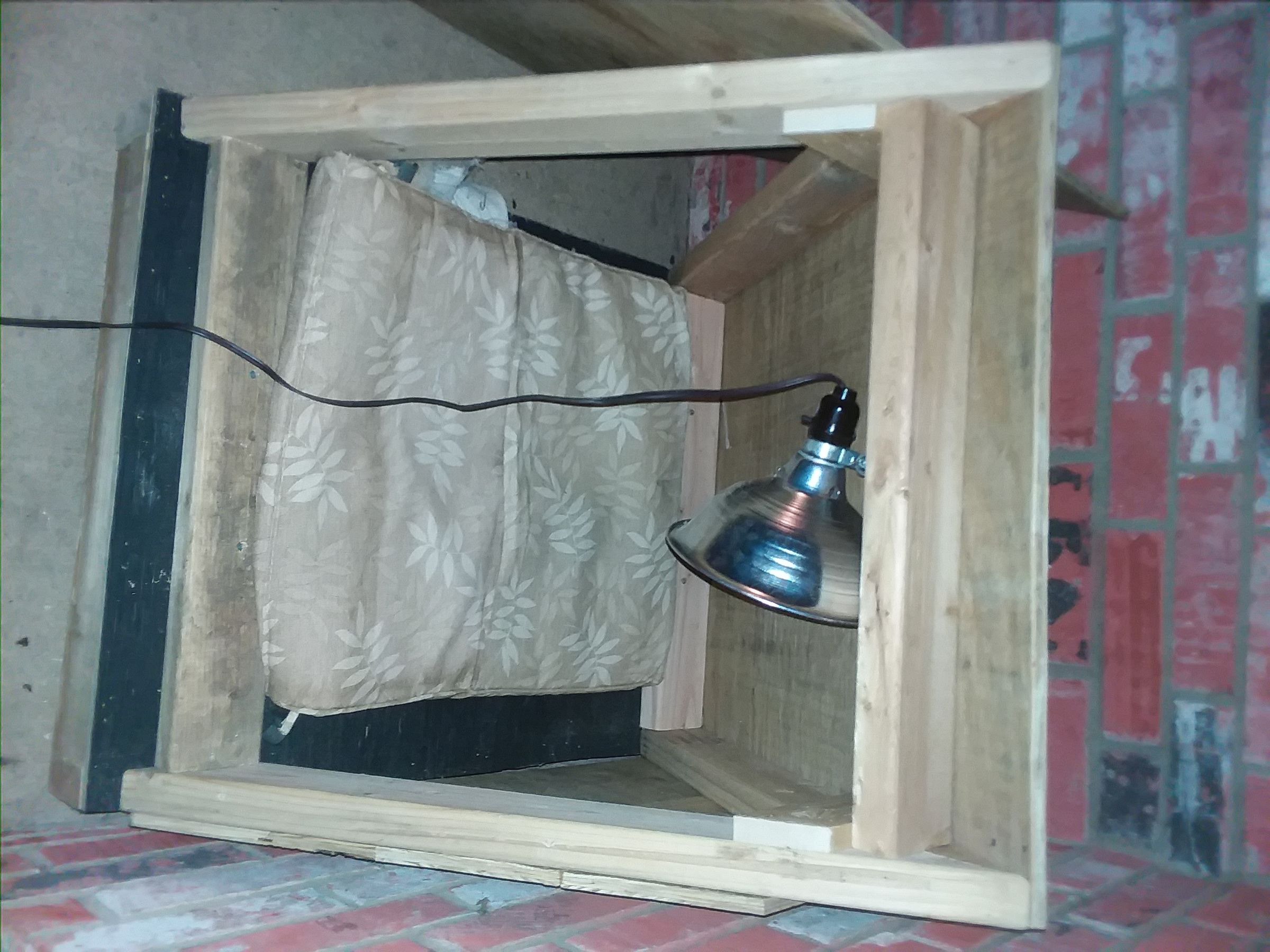 Heated Dog House (medium Size Dog) : 6 Steps (with Pictures ...