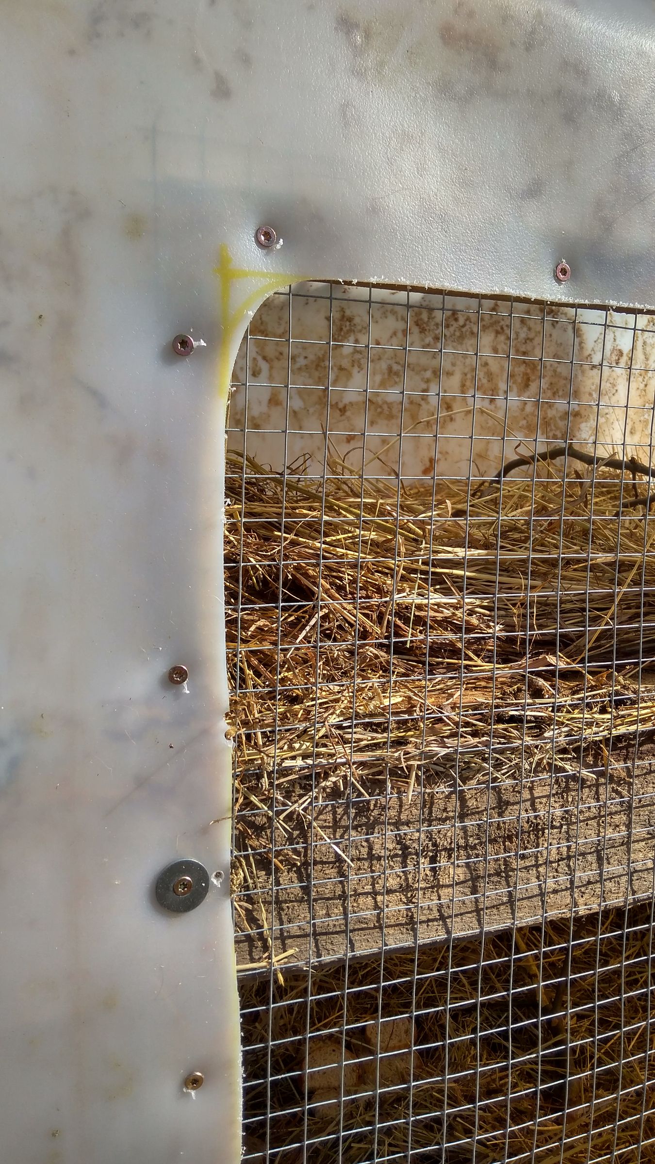 IBC Container Rabbit Hutch : 8 Steps (with Pictures) - Instructables