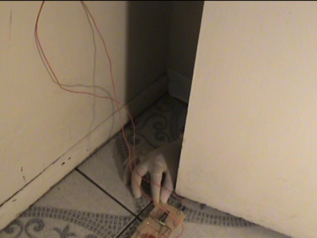 HomeMade Rat Trap Alarm System!!! : 4 Steps - Instructables