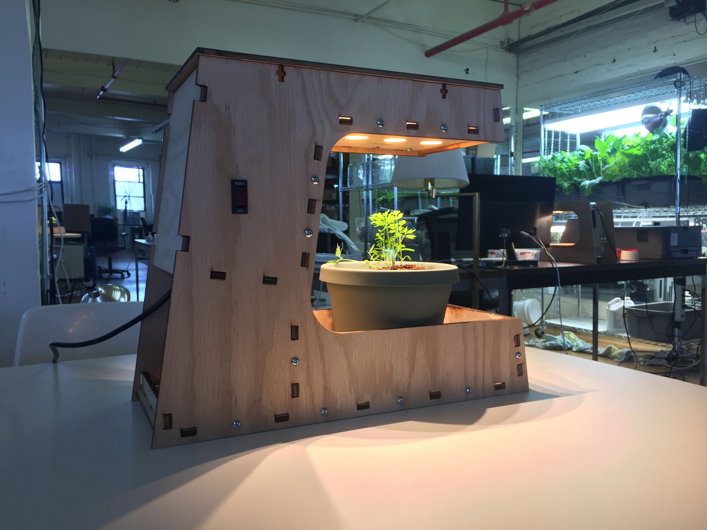Desktop Gardening, Plantbot Beta : 3 Steps (with Pictures) - Instructables