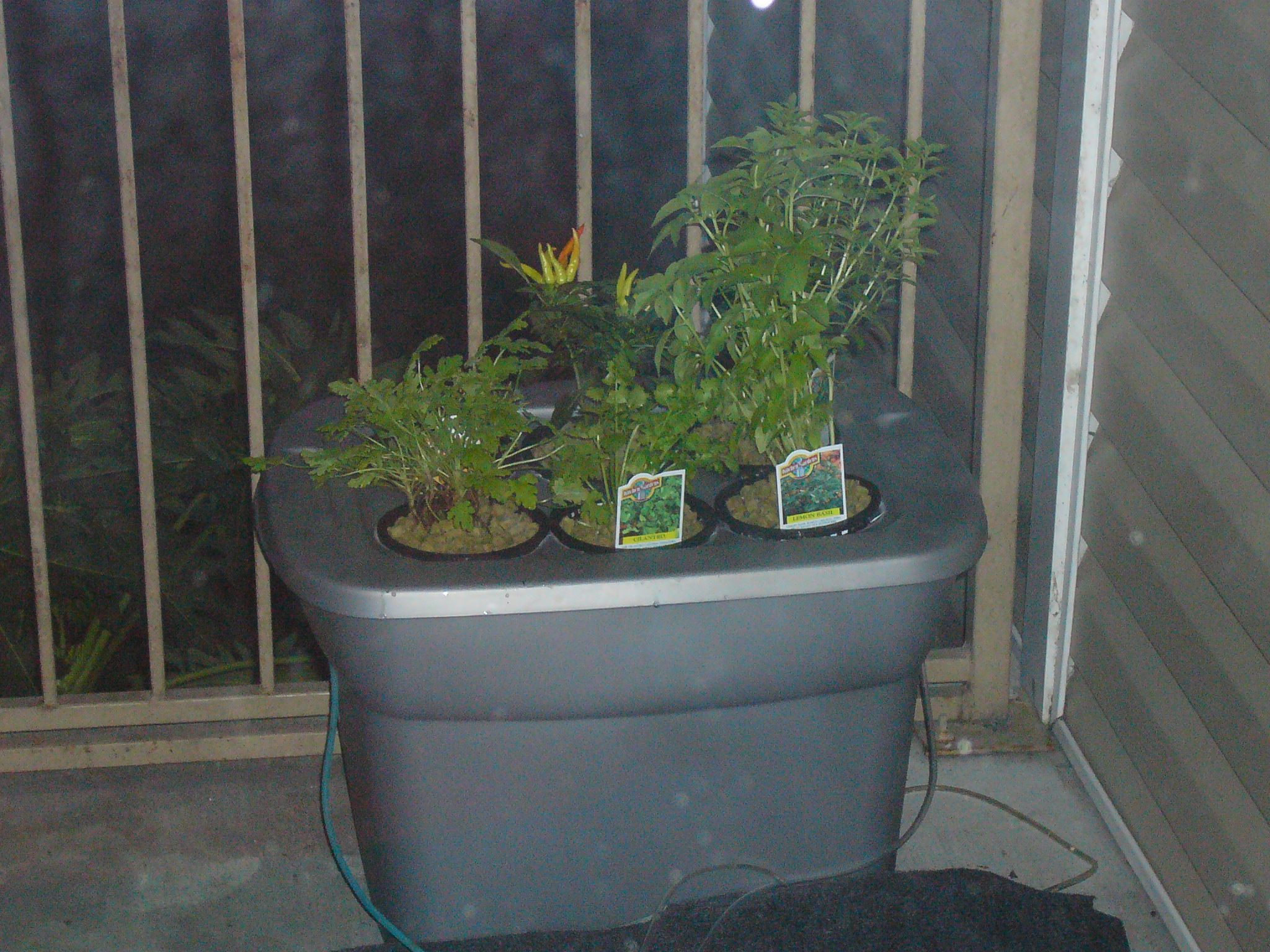 Hydroponics - at Home and for Beginners : 11 Steps (with Pictures ...
