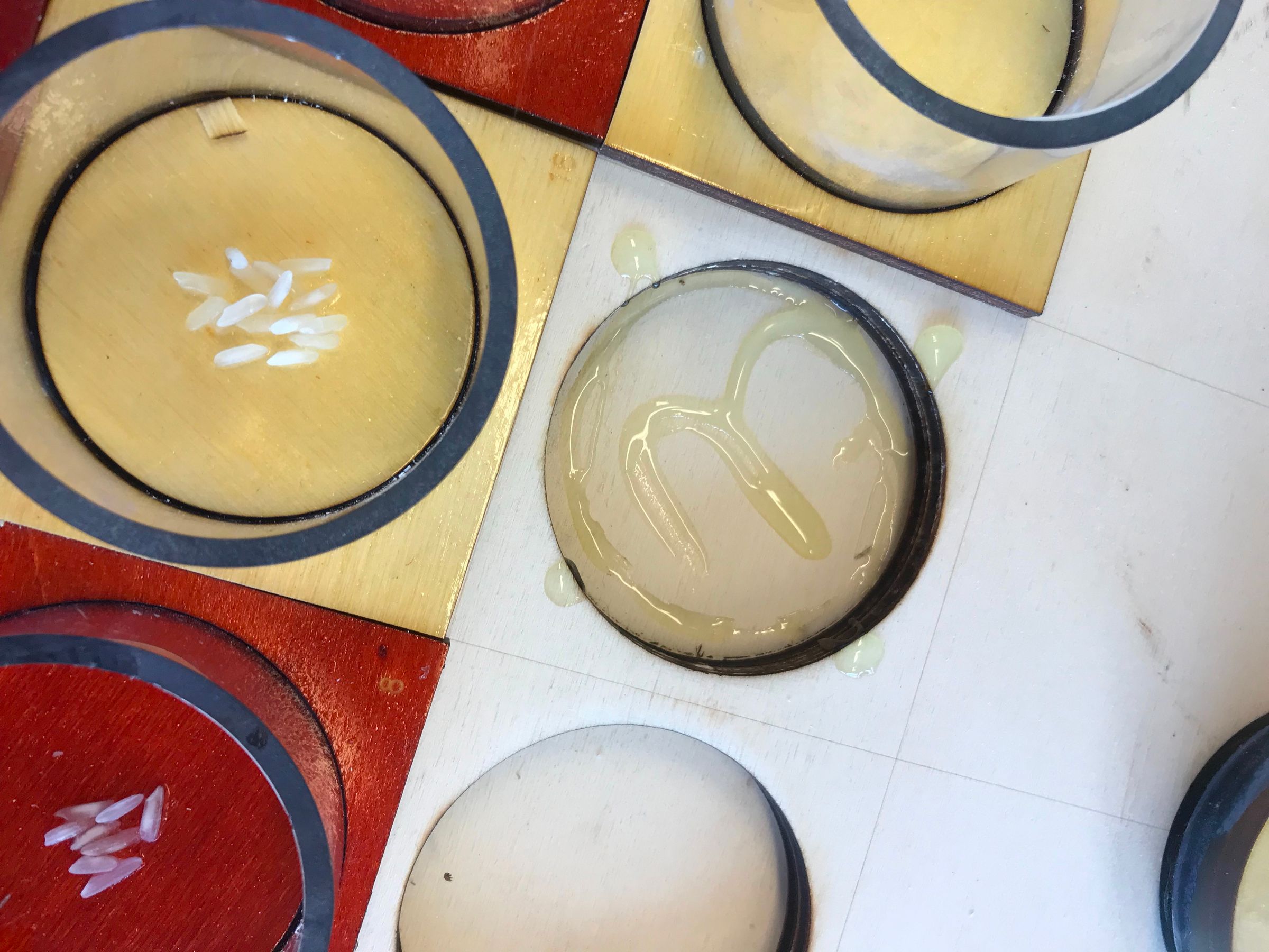 Chess Board With Rice: Exponential Growth : 11 Steps (with Pictures ...