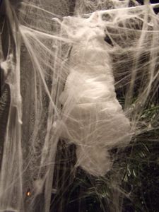 Make a Cocooned Body for Halloween Display : 6 Steps (with Pictures ...