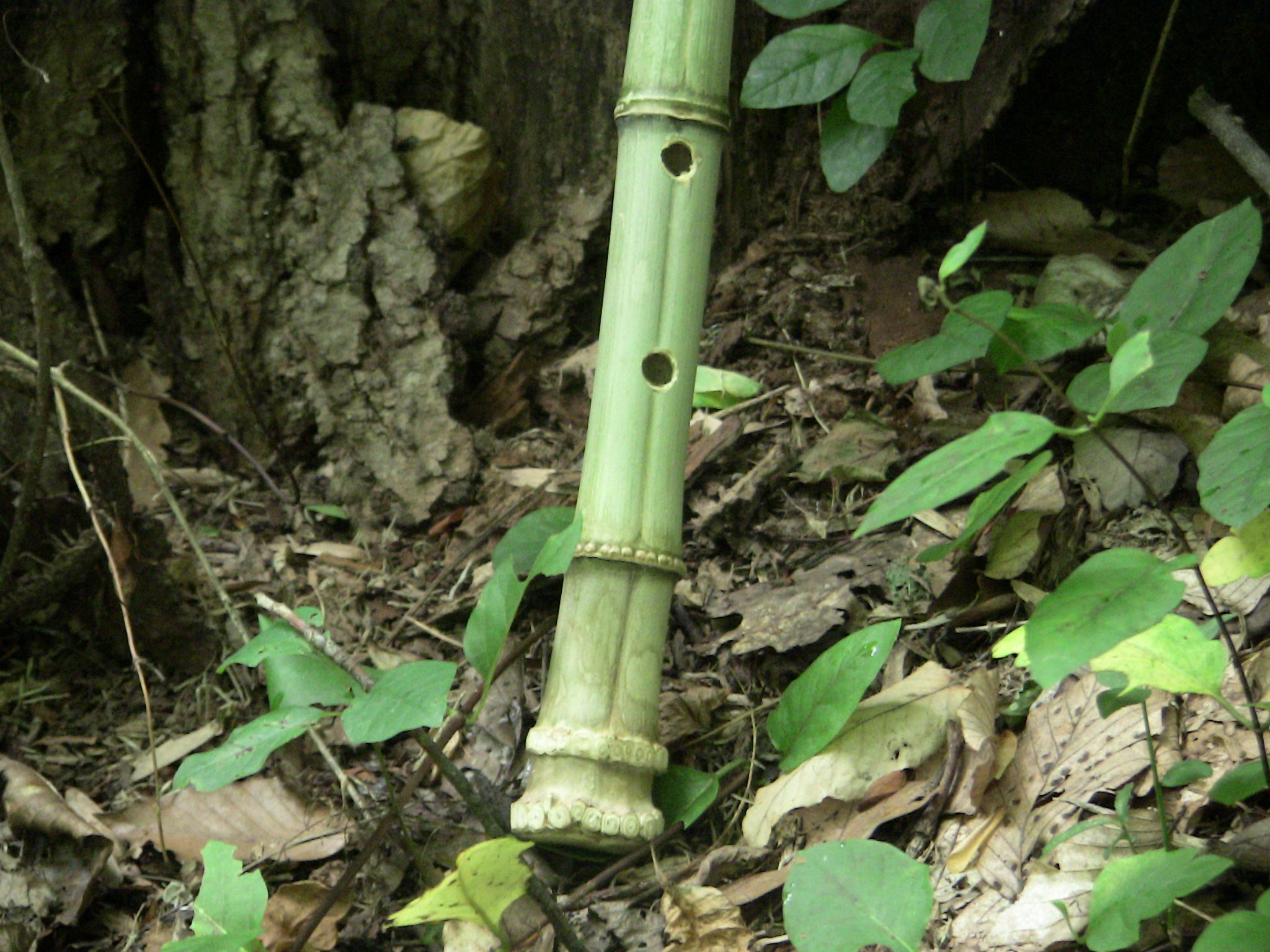 Make 4 Easy Bamboo Flutes for Free! : 7 Steps (with Pictures ...