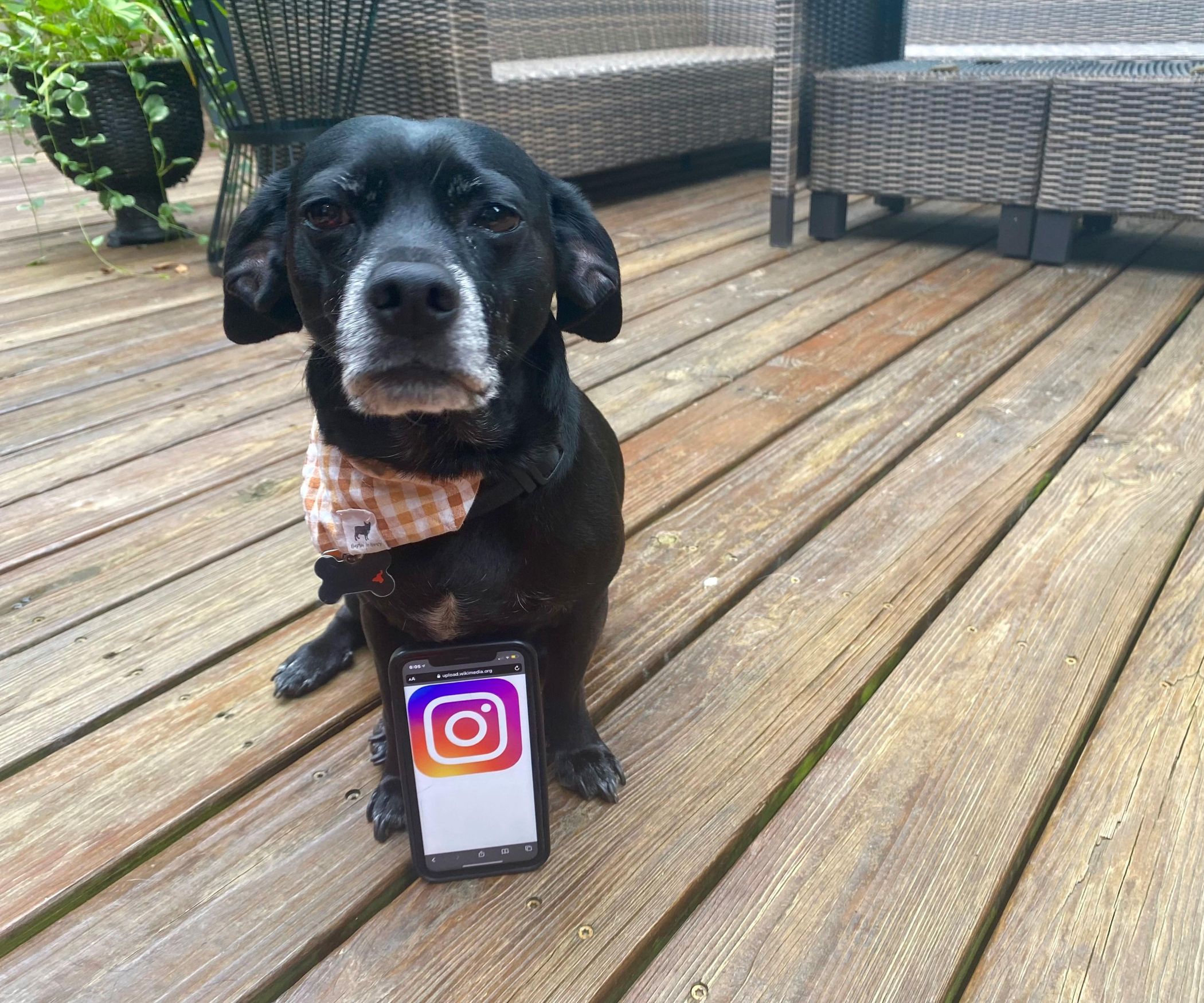 How to Create an Instagram Post! : 11 Steps (with Pictures) - Instructables