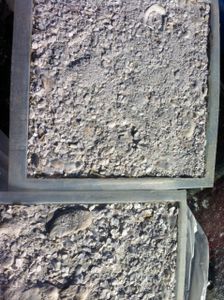 Oyster Shell Tiles : 9 Steps (with Pictures) - Instructables