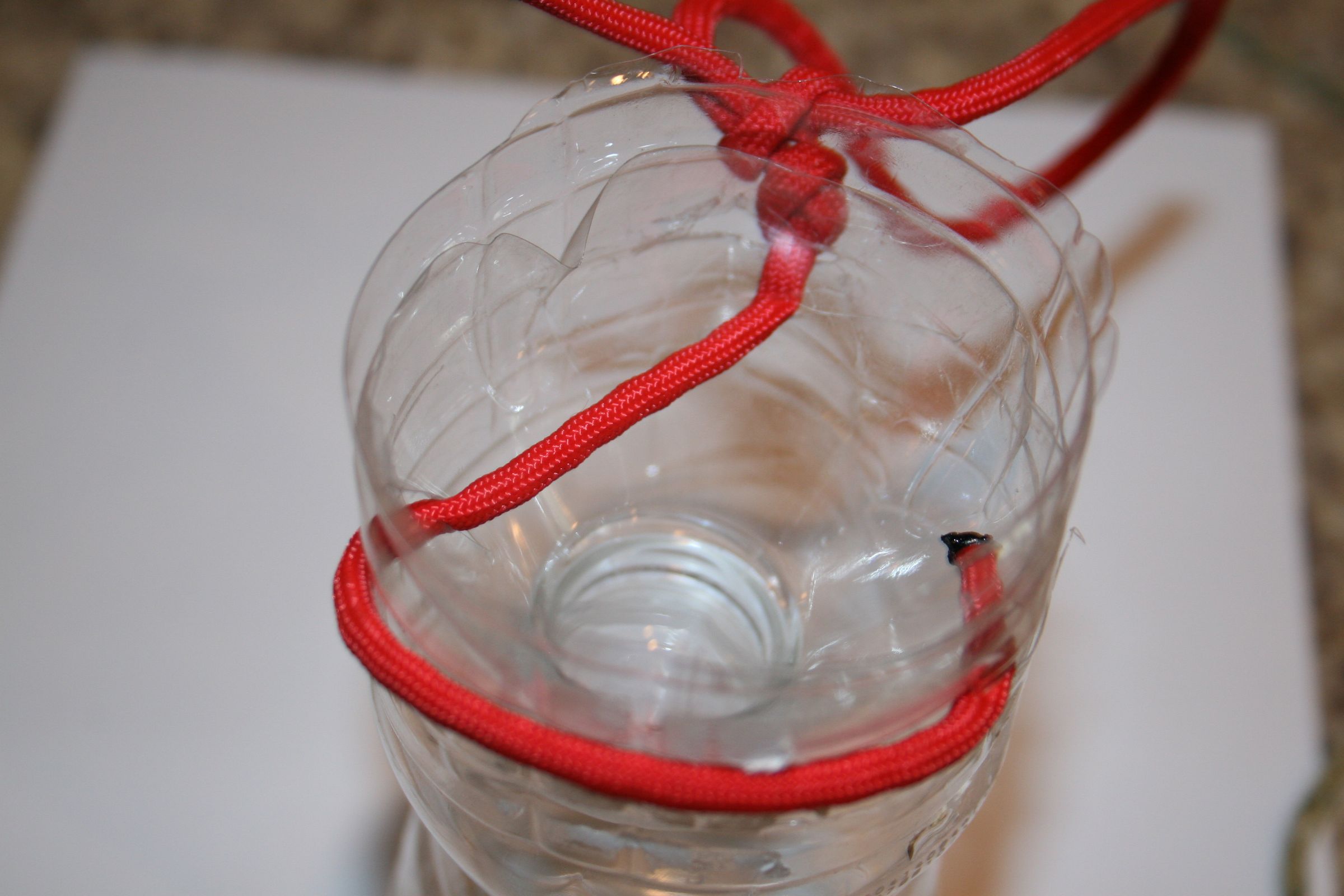 How to Make a Survival Minnow Trap : 3 Steps - Instructables
