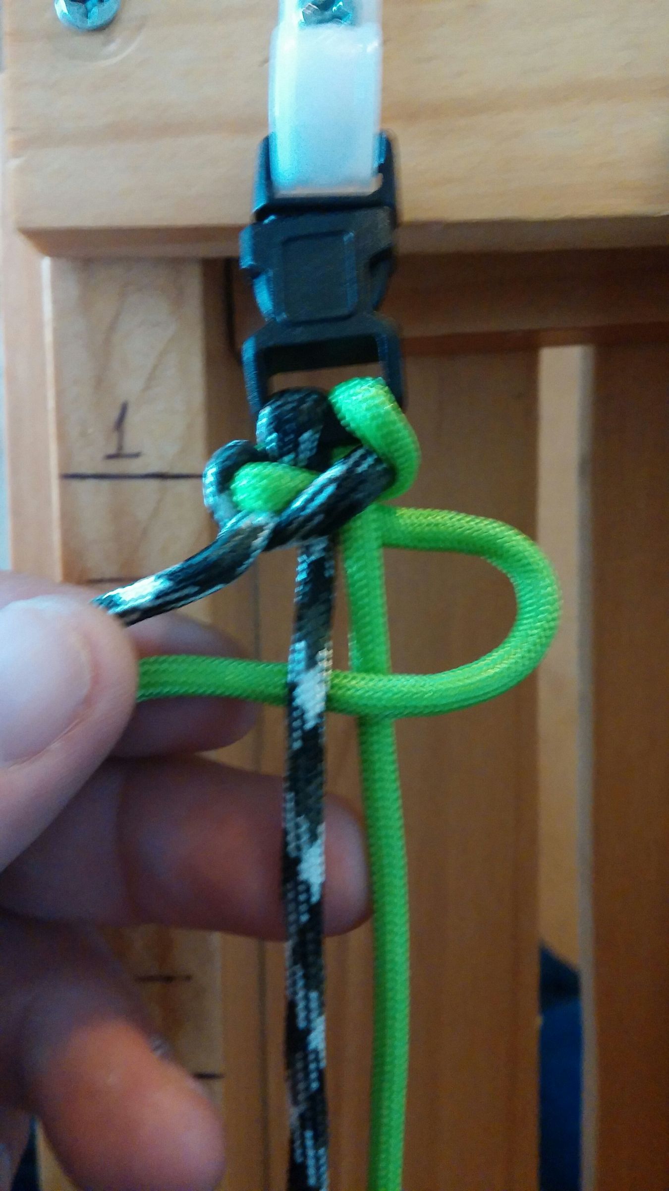 Dragon Claw : 10 Steps (with Pictures) - Instructables