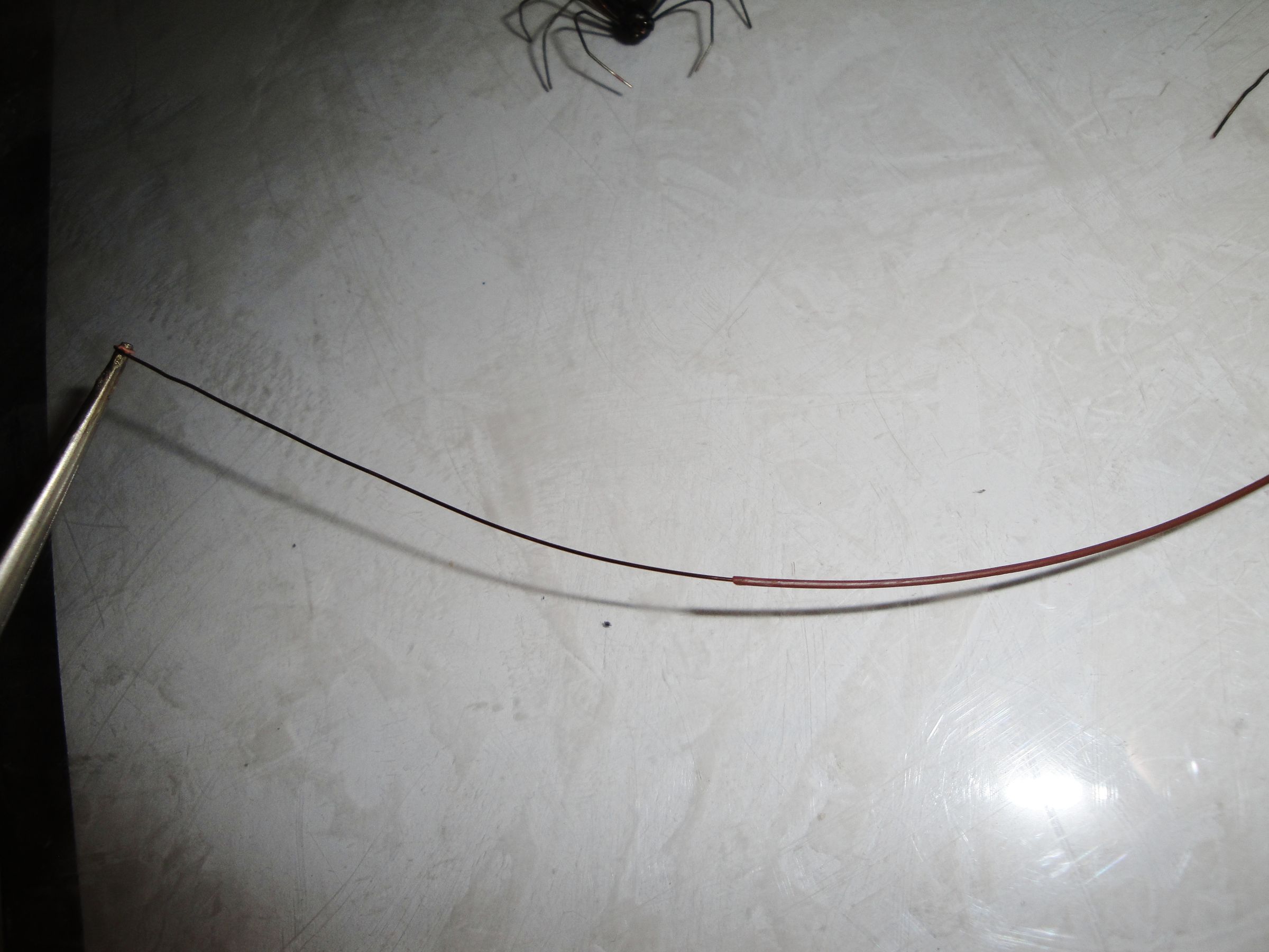 Realistic Spider (Life-Size Prop) : 7 Steps (with Pictures) - Instructables