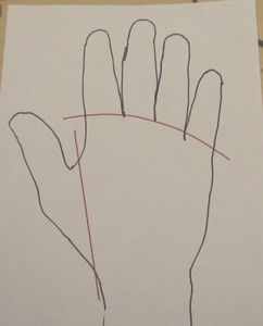 Science Fair - Articulated Hand