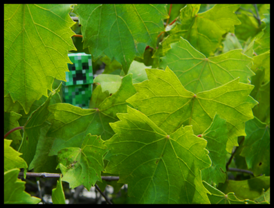 The Ultimate Guide to Minecraft Papercrafts! : 7 Steps (with Pictures ...