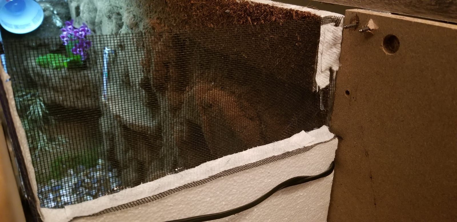 Reptile Enclosure Entertaiment Center! : 10 Steps (with Pictures) - Instructables