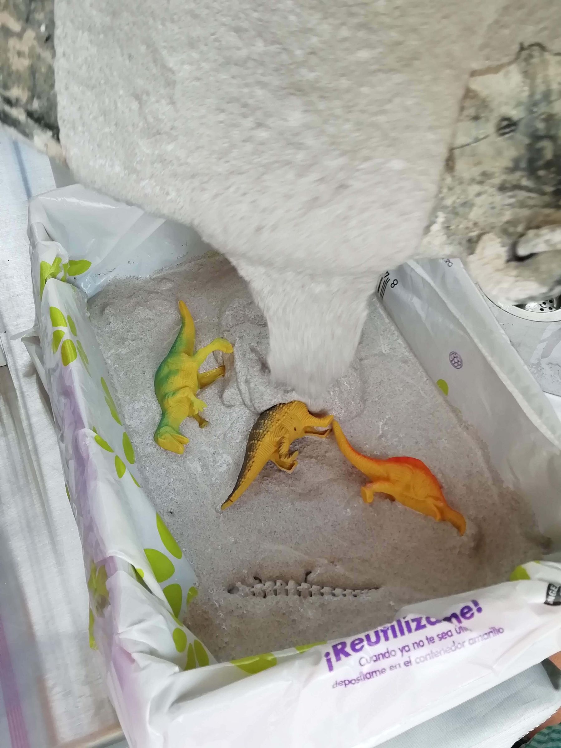 Excavation Kit (educational, DIY, for Kids) : 5 Steps (with Pictures ...