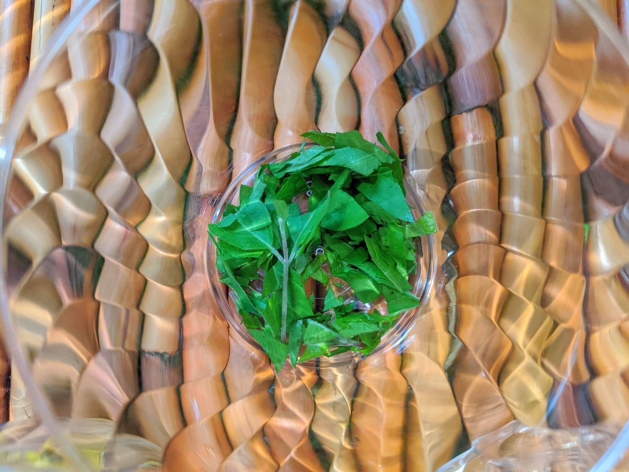 Making Natural Inks : 4 Steps (with Pictures) - Instructables