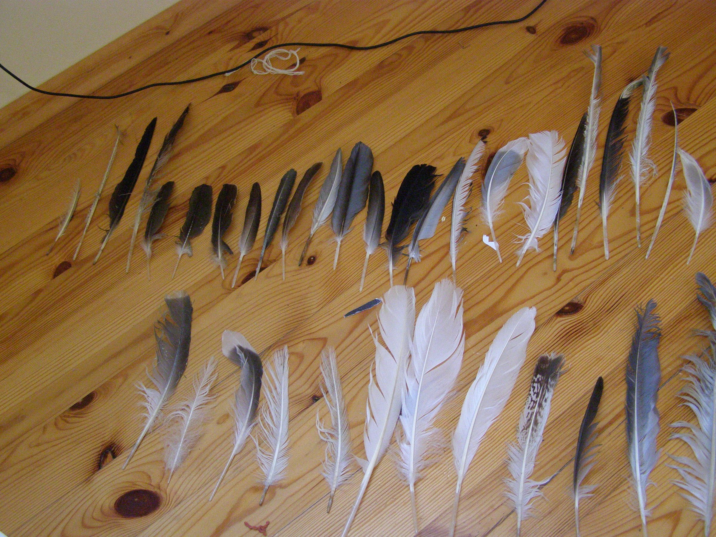 How to Make a Feather Quill (2 Ways) - Instructables