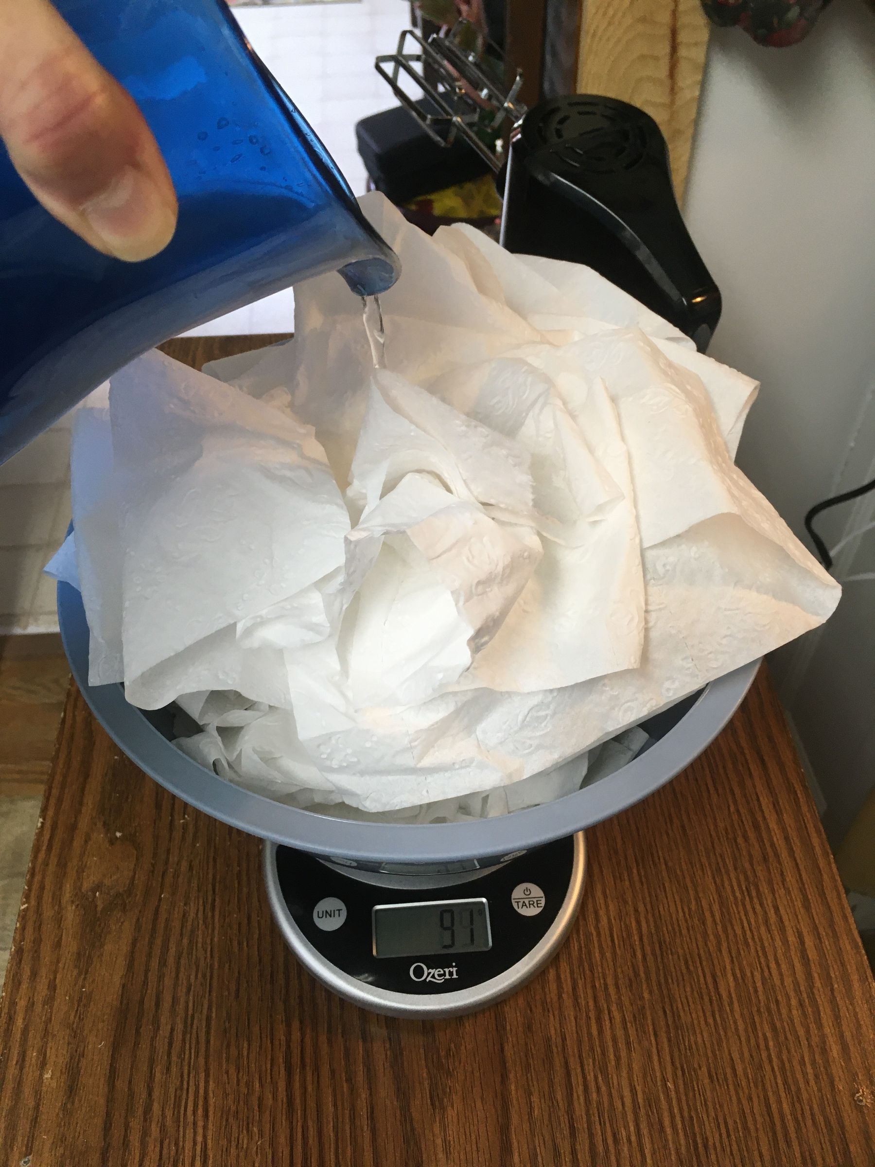 Barnacle Sculptures--and an Experiment With 2 Kinds of Homemade Paper ...