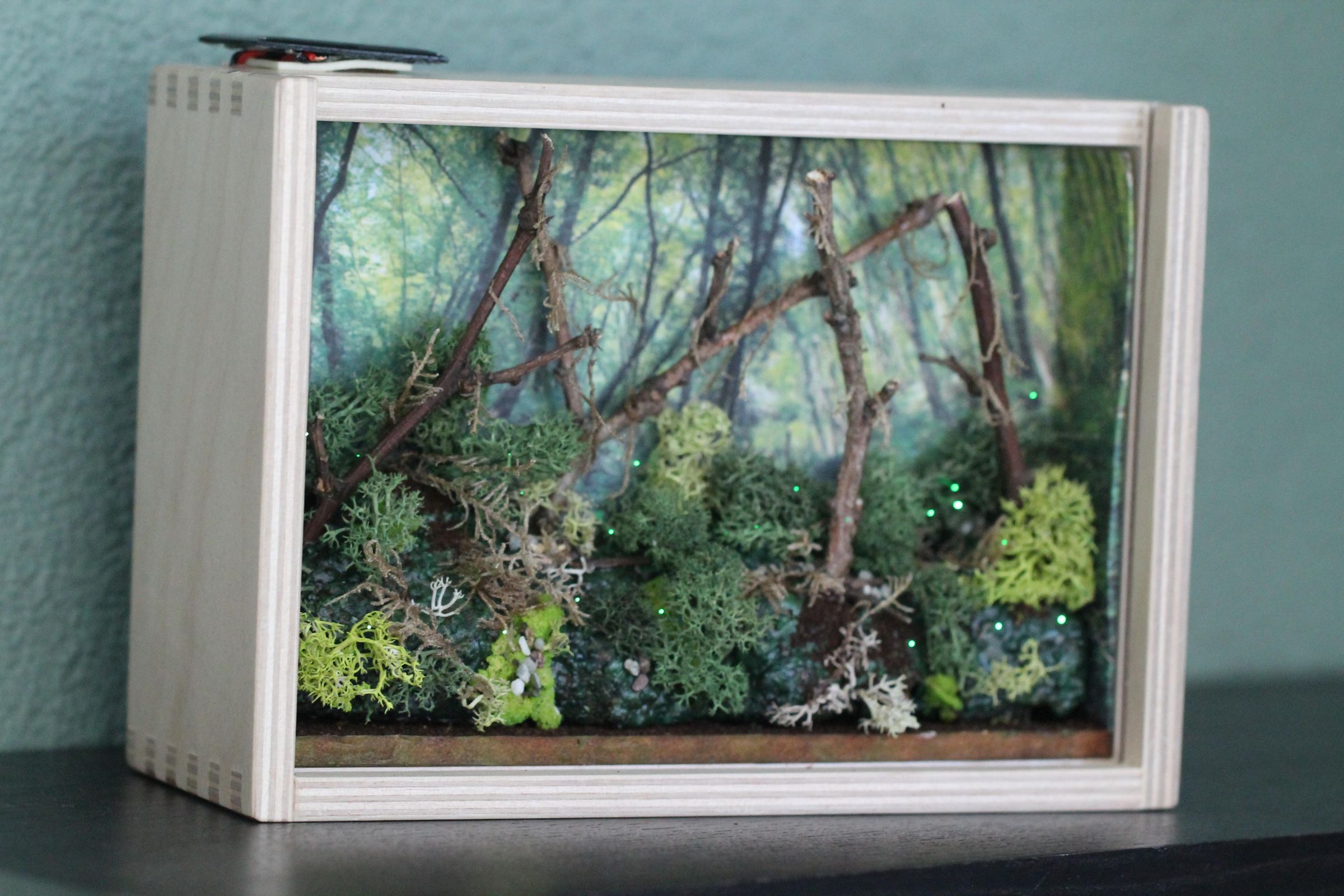 Firefly Forest : 7 Steps (with Pictures) - Instructables