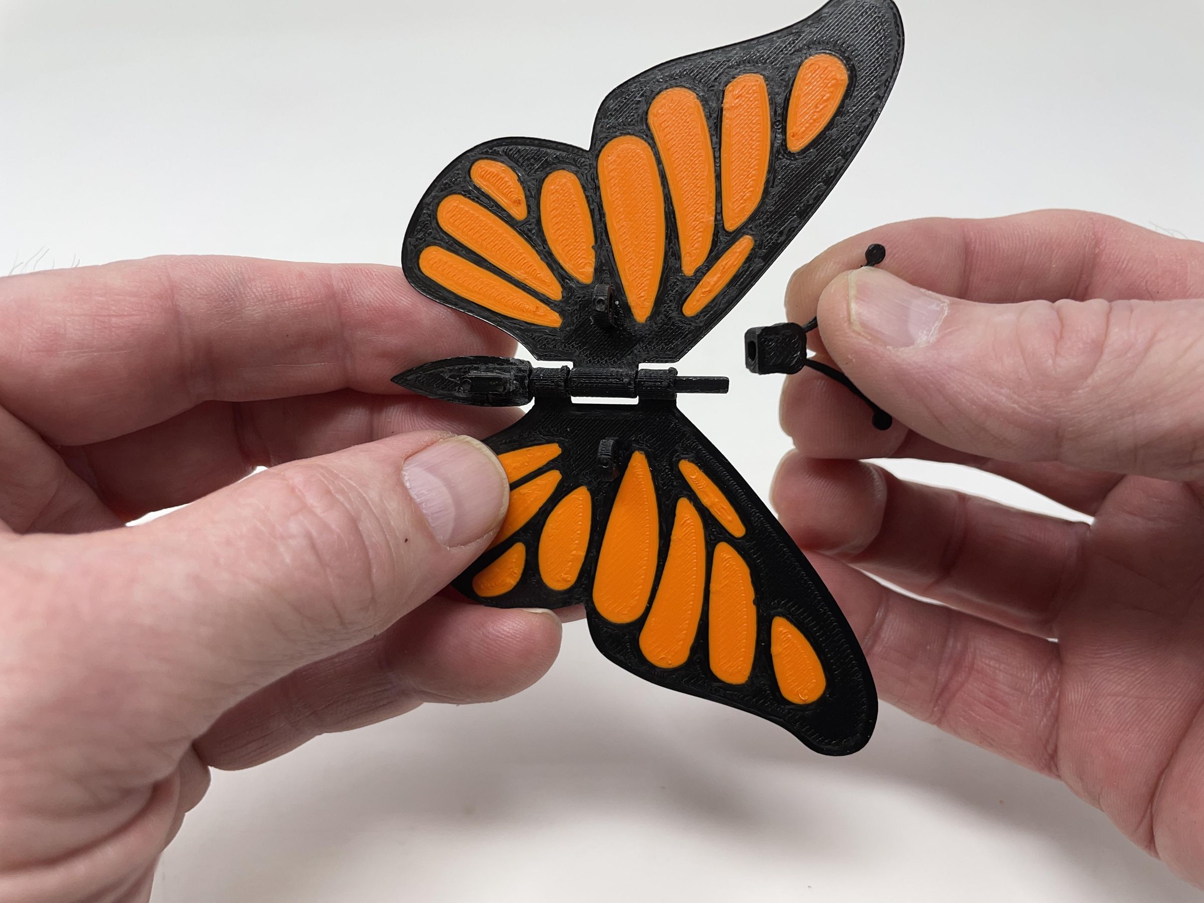 Butterfly Automaton : 4 Steps (with Pictures) - Instructables