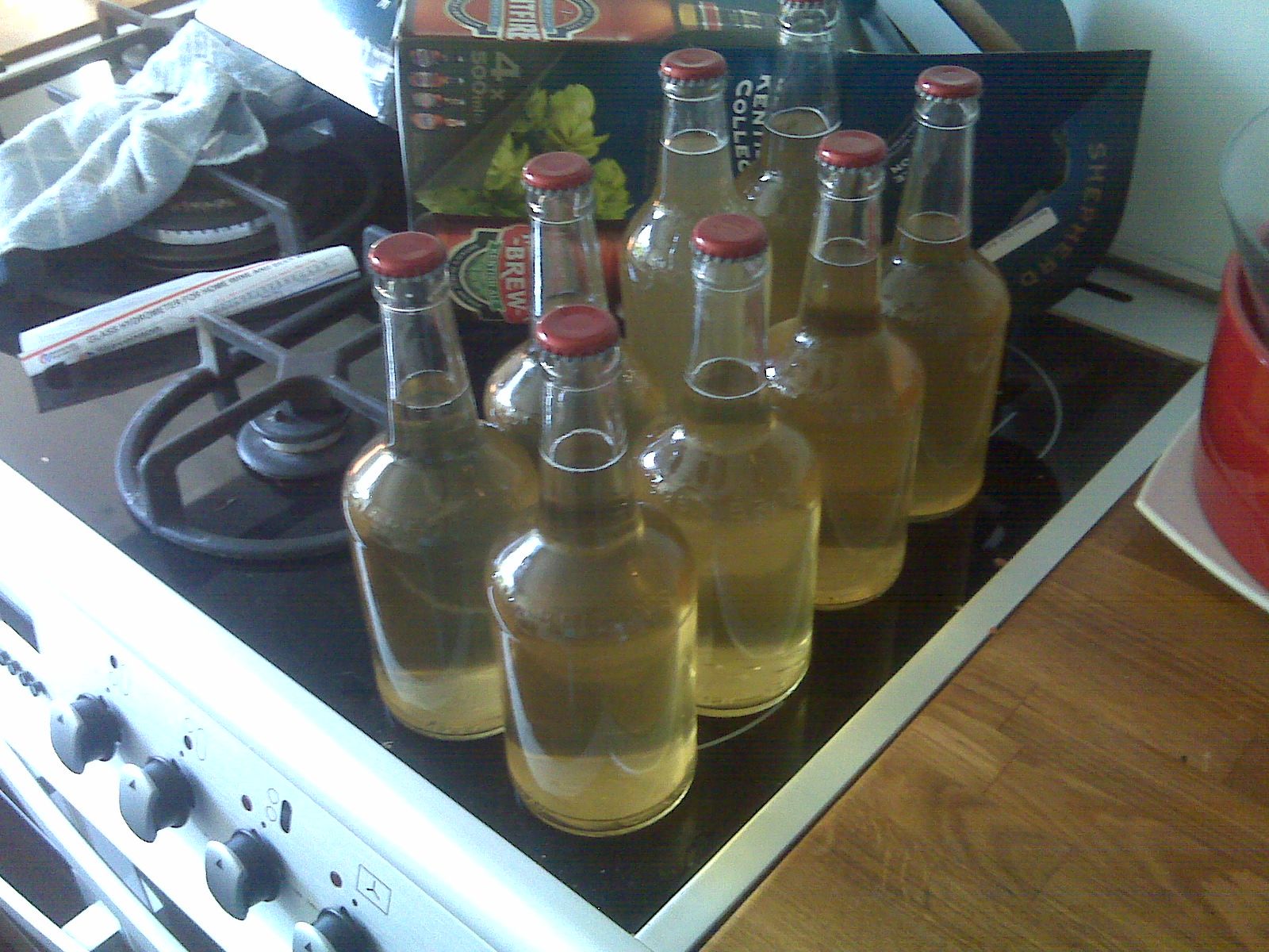 Simple Homemade Cider With a Juicer and No Press : 4 Steps - Instructables