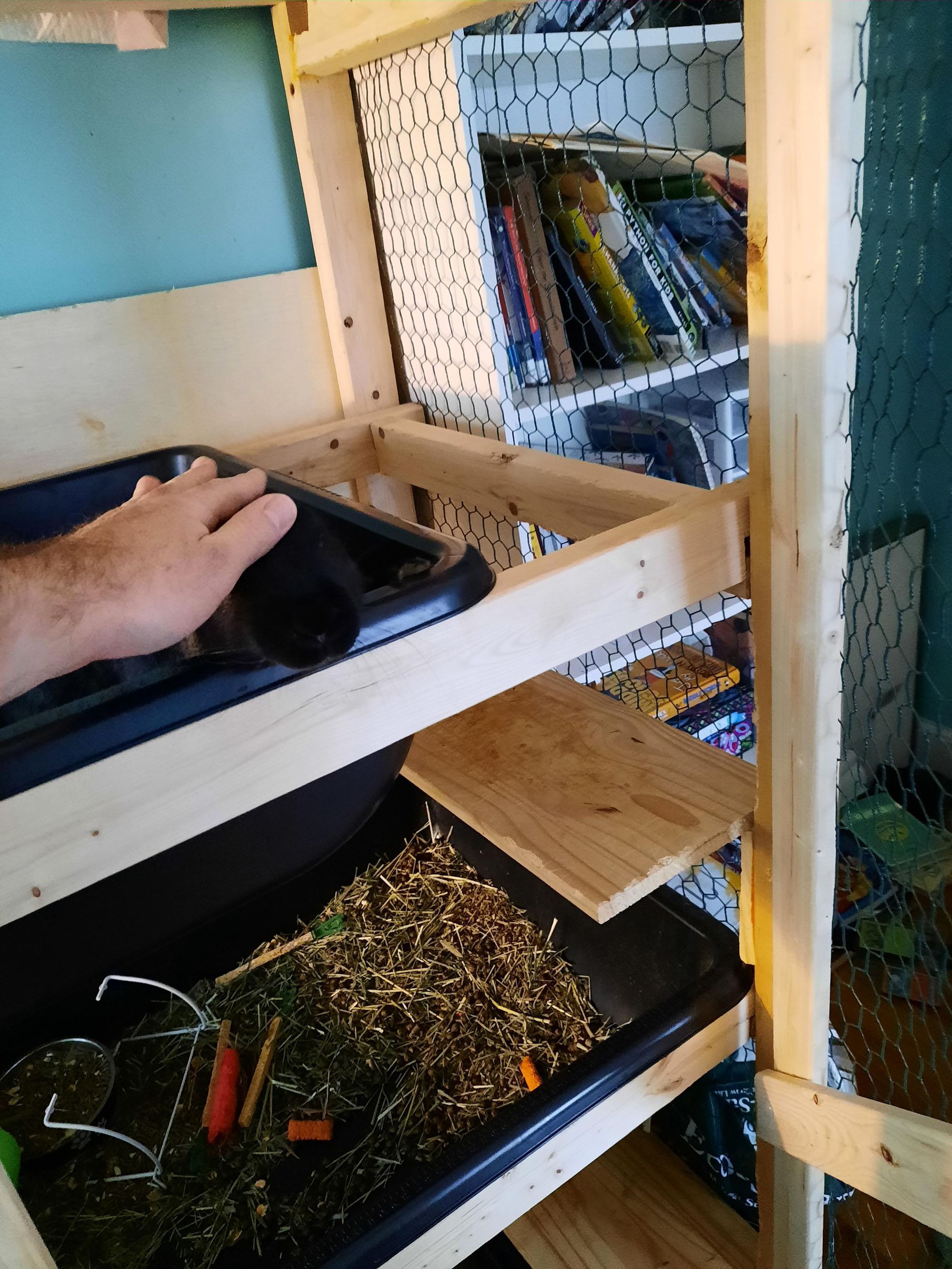 House Rabbit Palace : 7 Steps - Instructables
