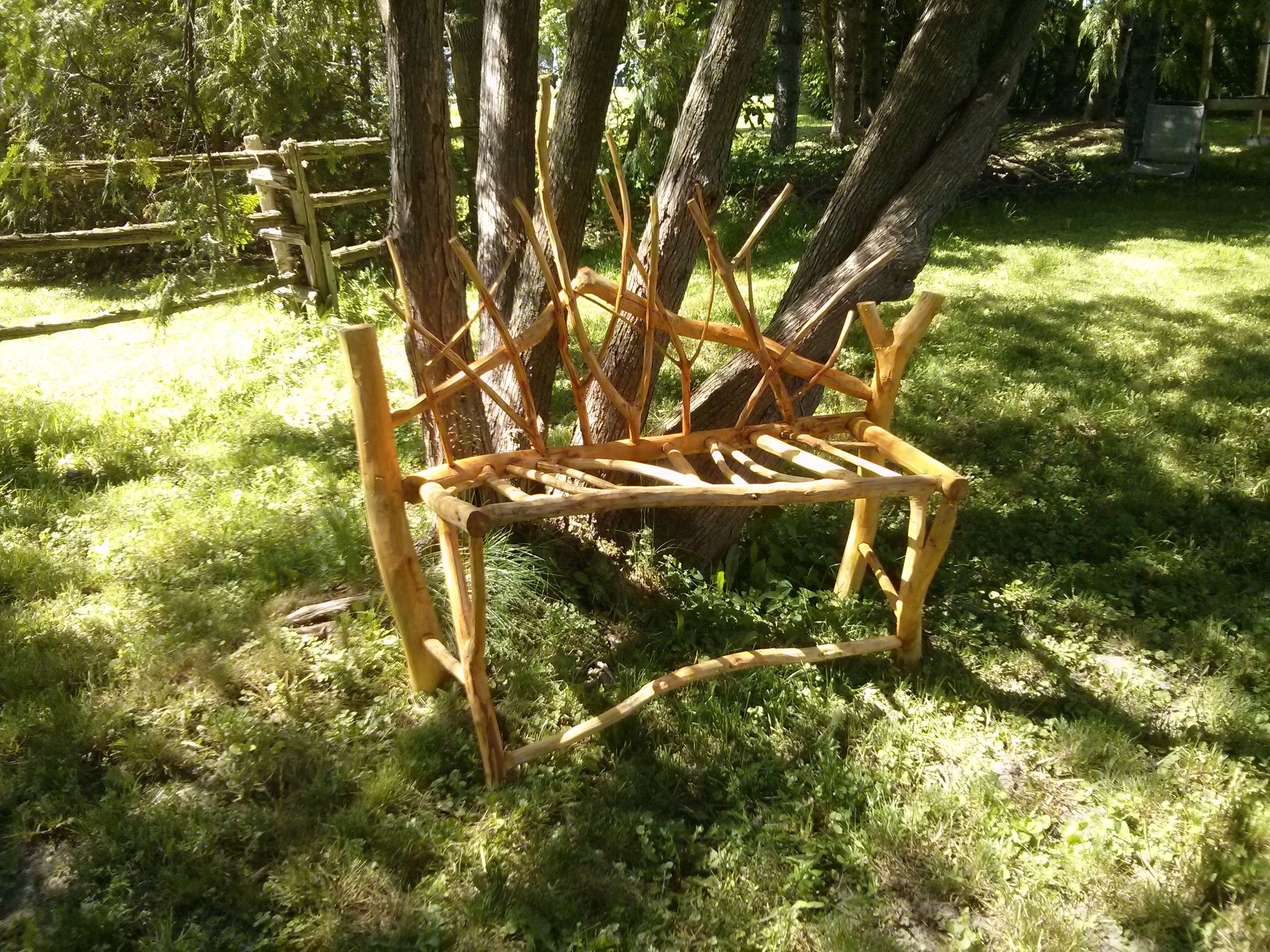 Decorative Garden Bench Made From Fallen Tree Limbs : 9 Steps ...