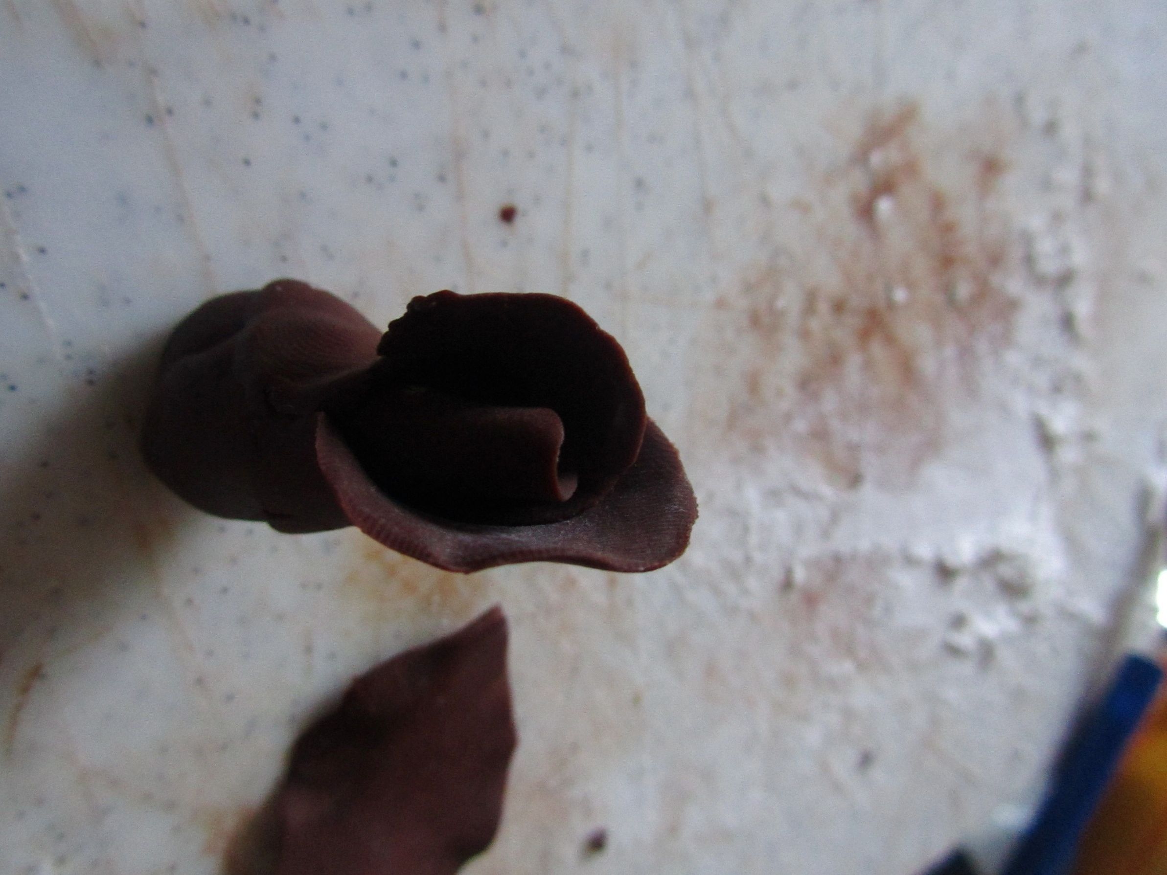 Modelling Chocolate Roses : 9 Steps (with Pictures) - Instructables
