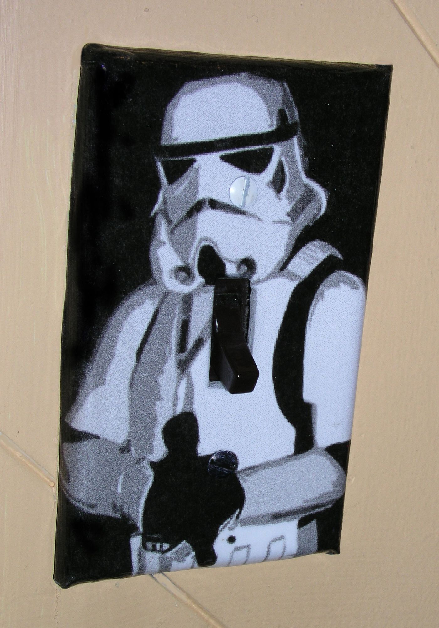 MAKE YOUR OWN CUSTOM SWITCH PLATES : 10 Steps (with Pictures ...