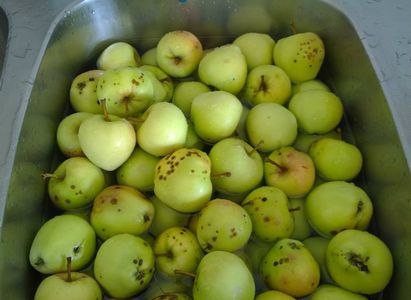 Apple Syrup : 5 Steps (with Pictures) - Instructables