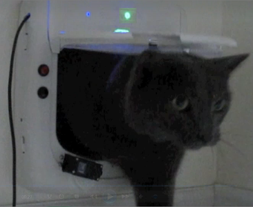 Pet Curfew: an Arduino Controlled Pet Door : 7 Steps (with Pictures ...