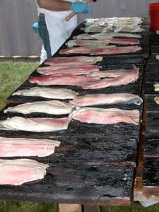 Shad Bake (Connecticut Style) : 7 Steps (with Pictures) - Instructables