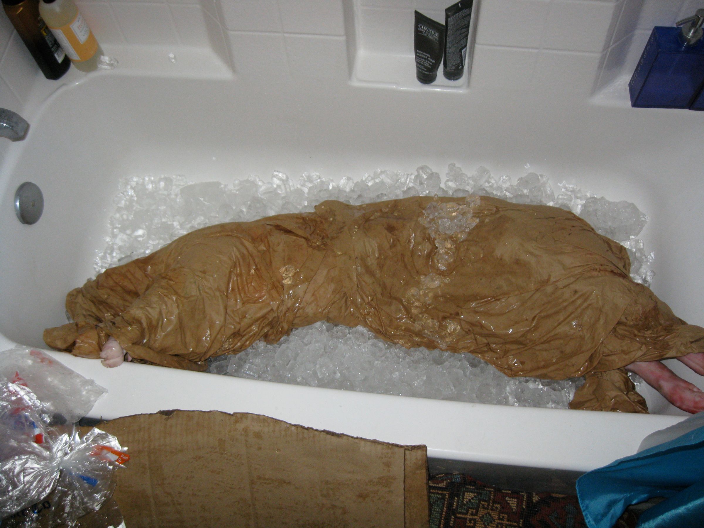 Build a Caja China ~ Roast a Pig in a Box : 10 Steps (with Pictures ...