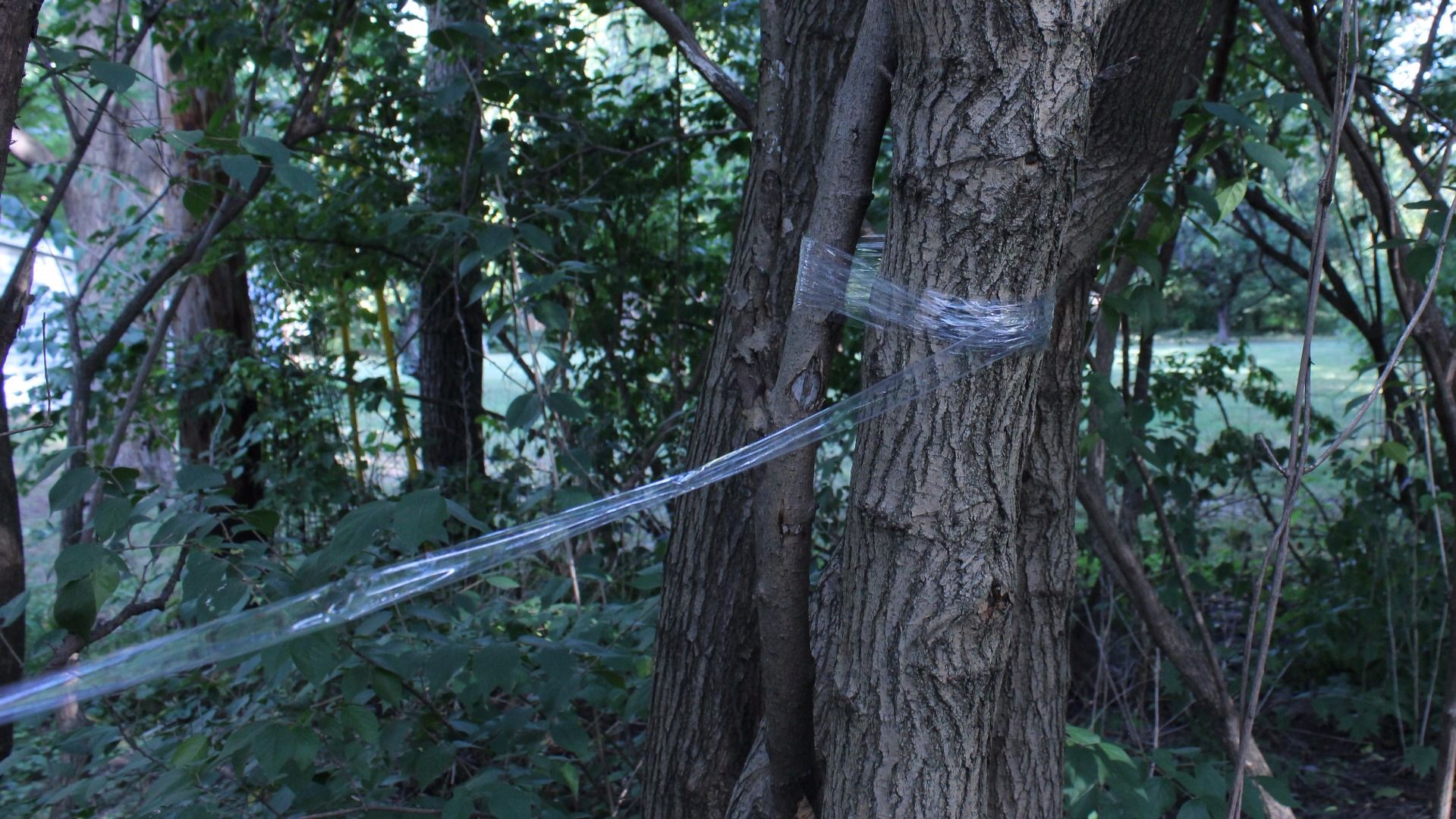 Giant Spider Web : 9 Steps (with Pictures) - Instructables