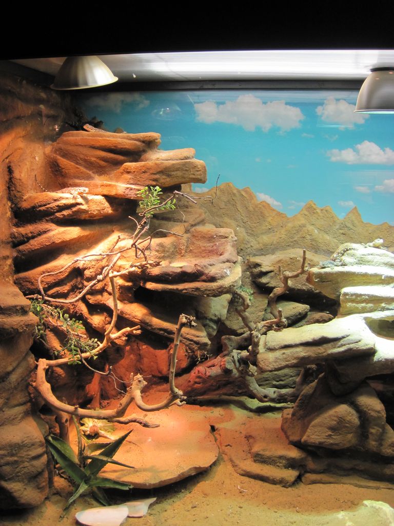 Make a Fake Rock Cave/basking Spot for a Reptile Cage. : 10 Steps (with ...