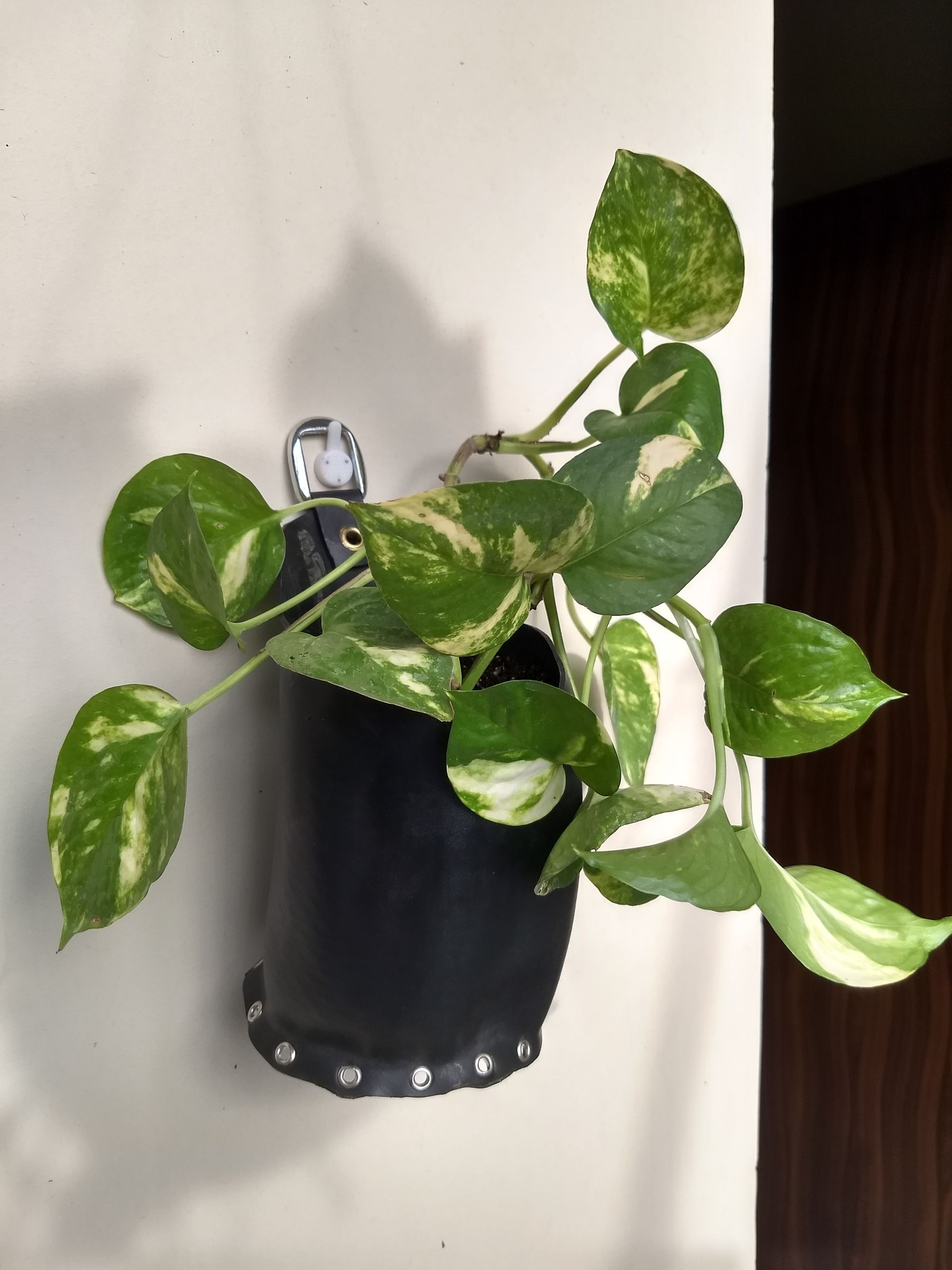 Make a Planter Using Car Inner Tube : 4 Steps (with Pictures ...