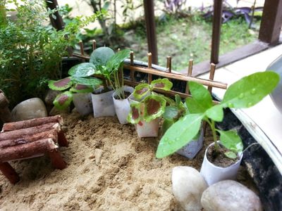 DIY Miniature Garden : 6 Steps (with Pictures) - Instructables