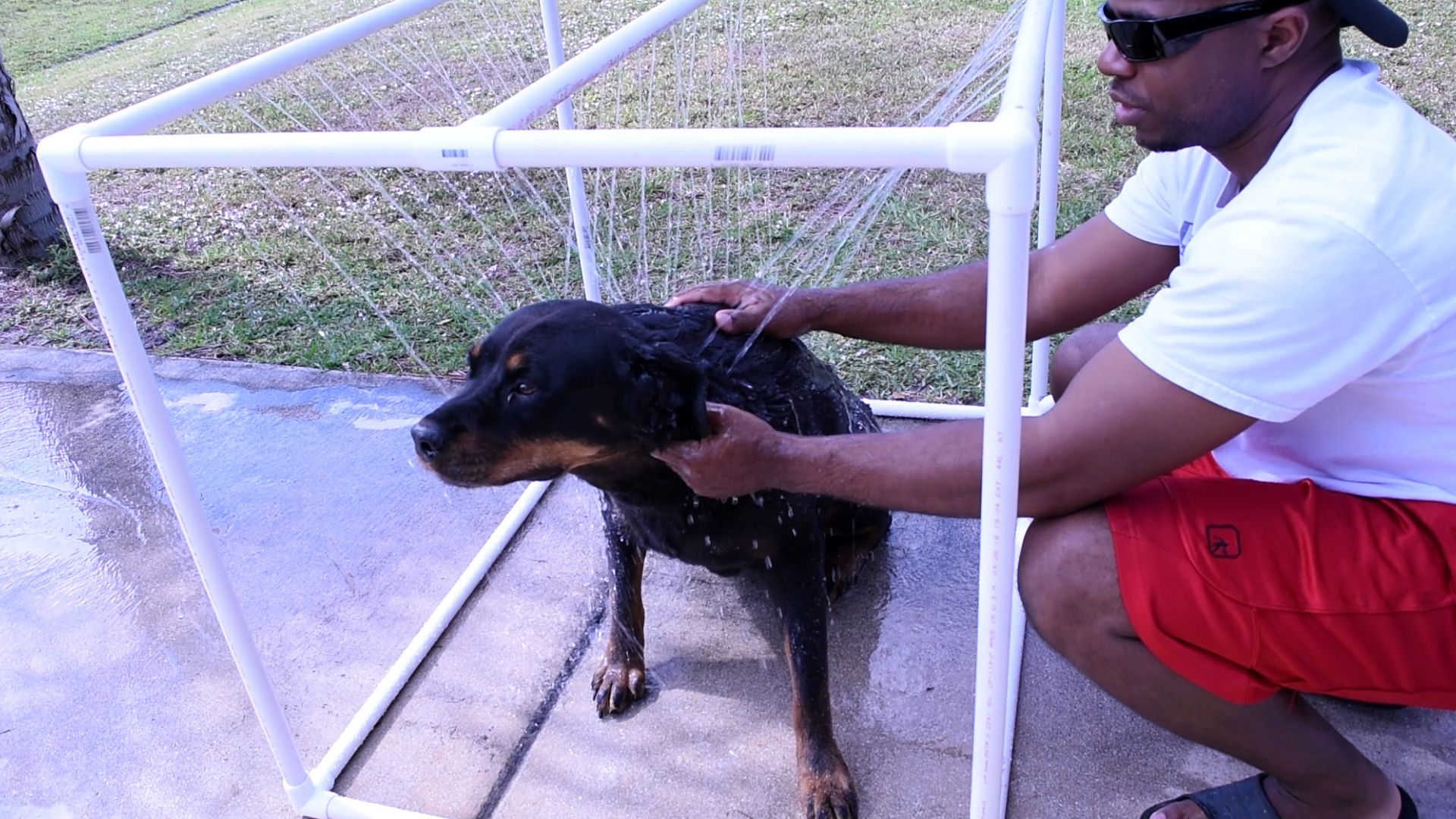 Outdoor Shower for Your Dog : 8 Steps (with Pictures) - Instructables